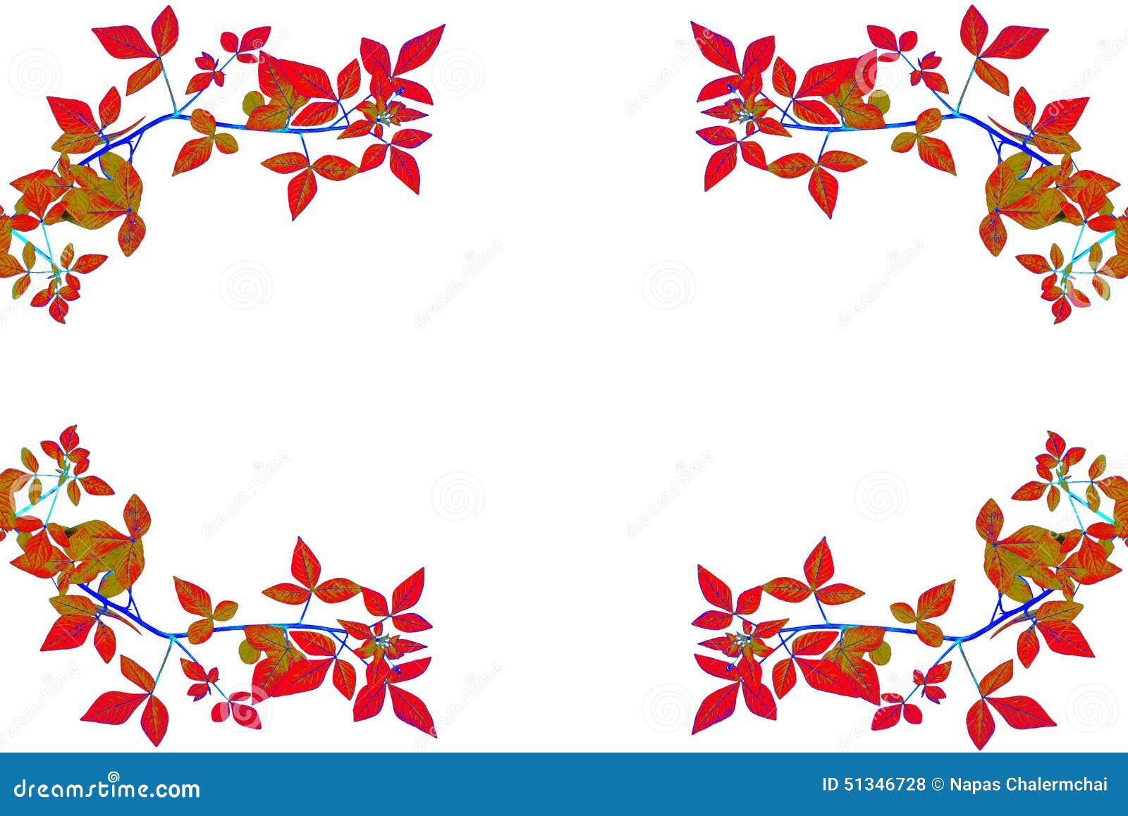 Green leave edge stock illustration. Illustration of nature - 51346728