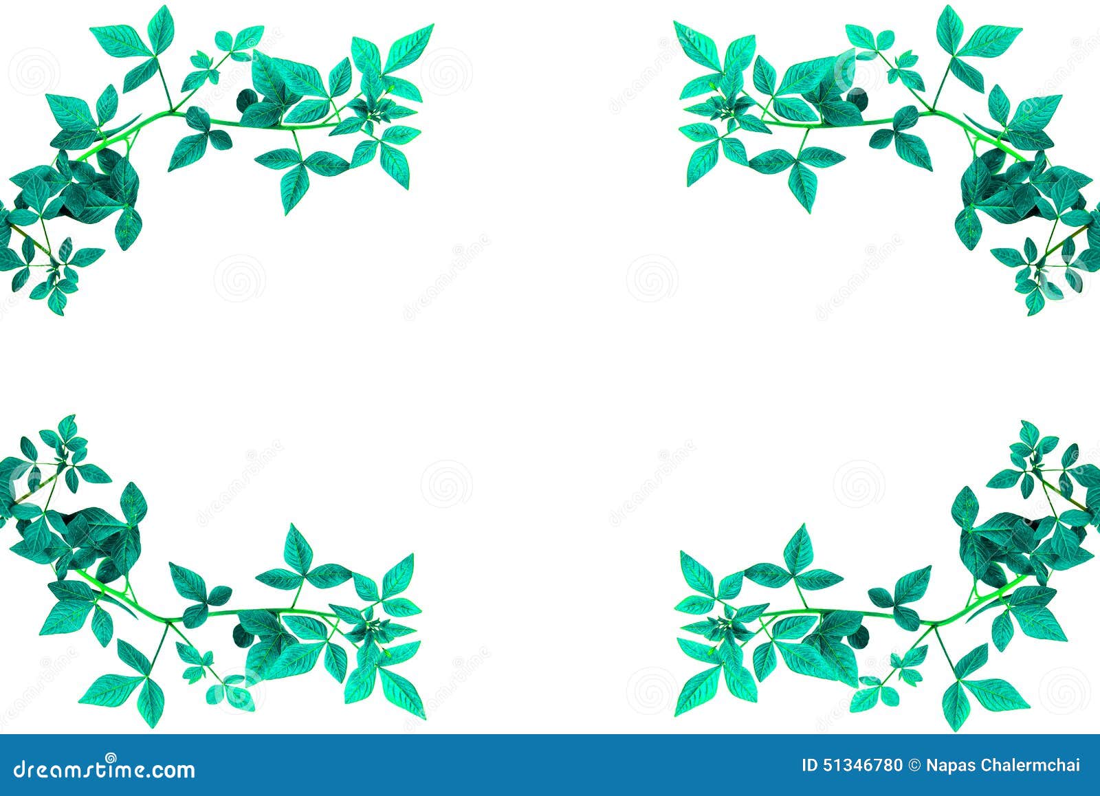 Green leave edge stock illustration. Illustration of frame - 51346780