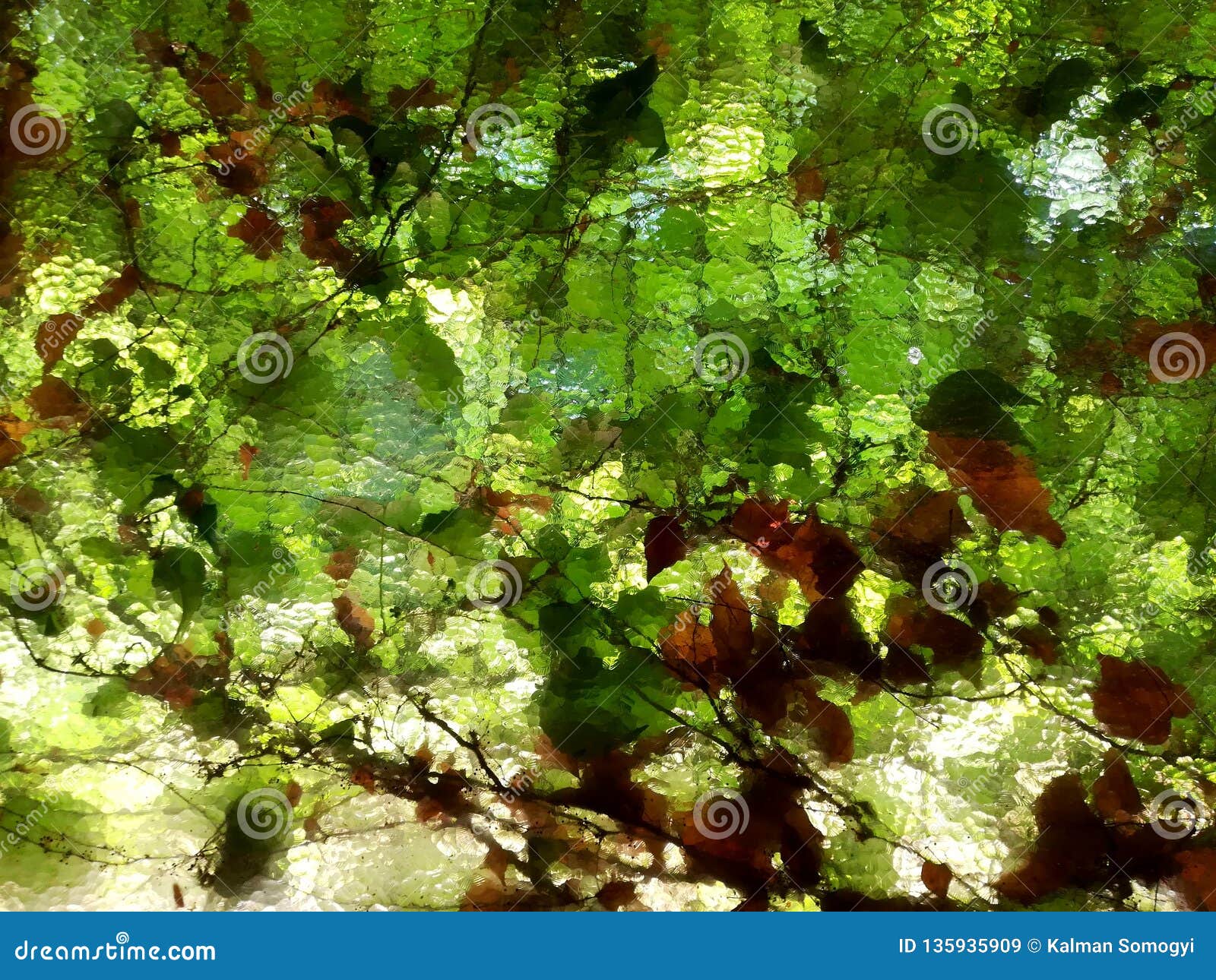 Leaves through a Glass Window Stock Image - Image of light, autumn ...