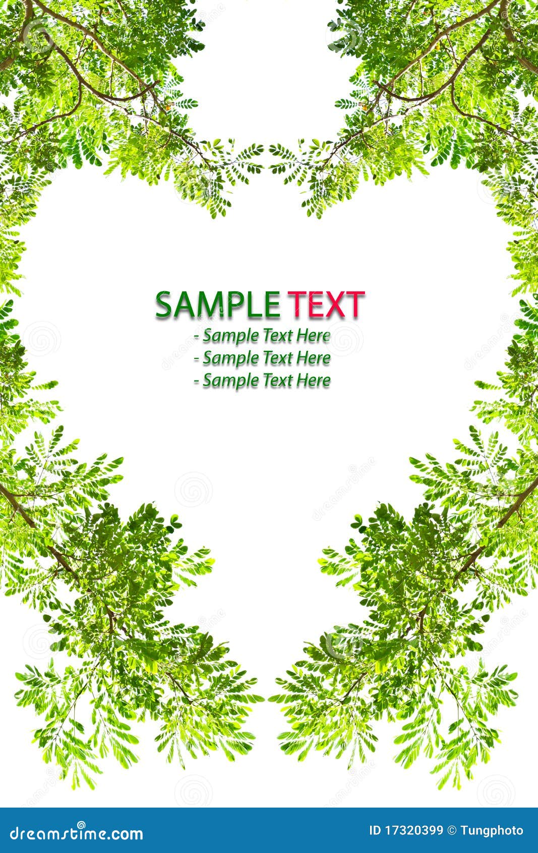 Green Leave Love Heart Frame Isolated Stock Image - Image of garden ...