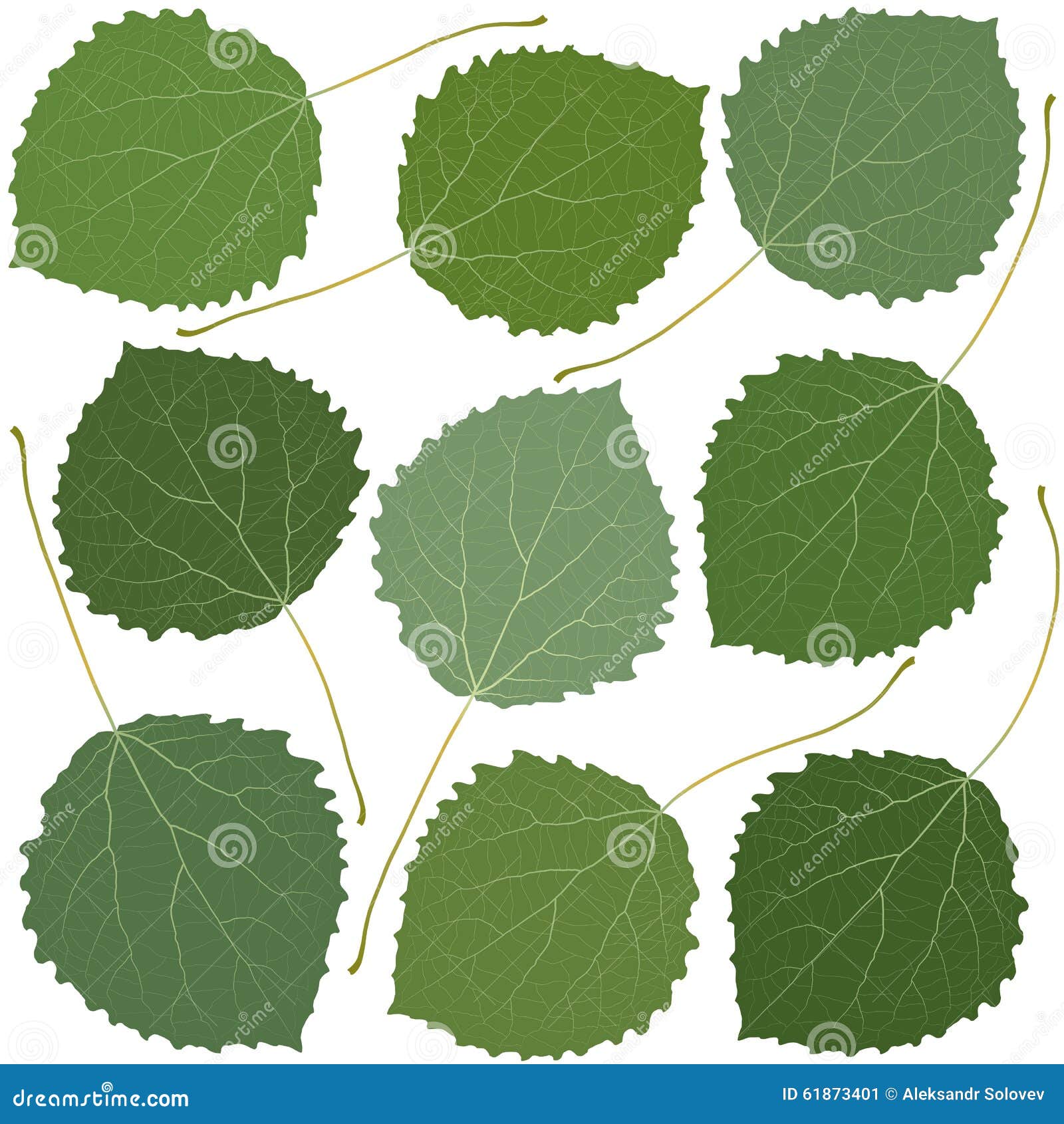 Green leaves aspen stock vector. Illustration of leaf - 61873401