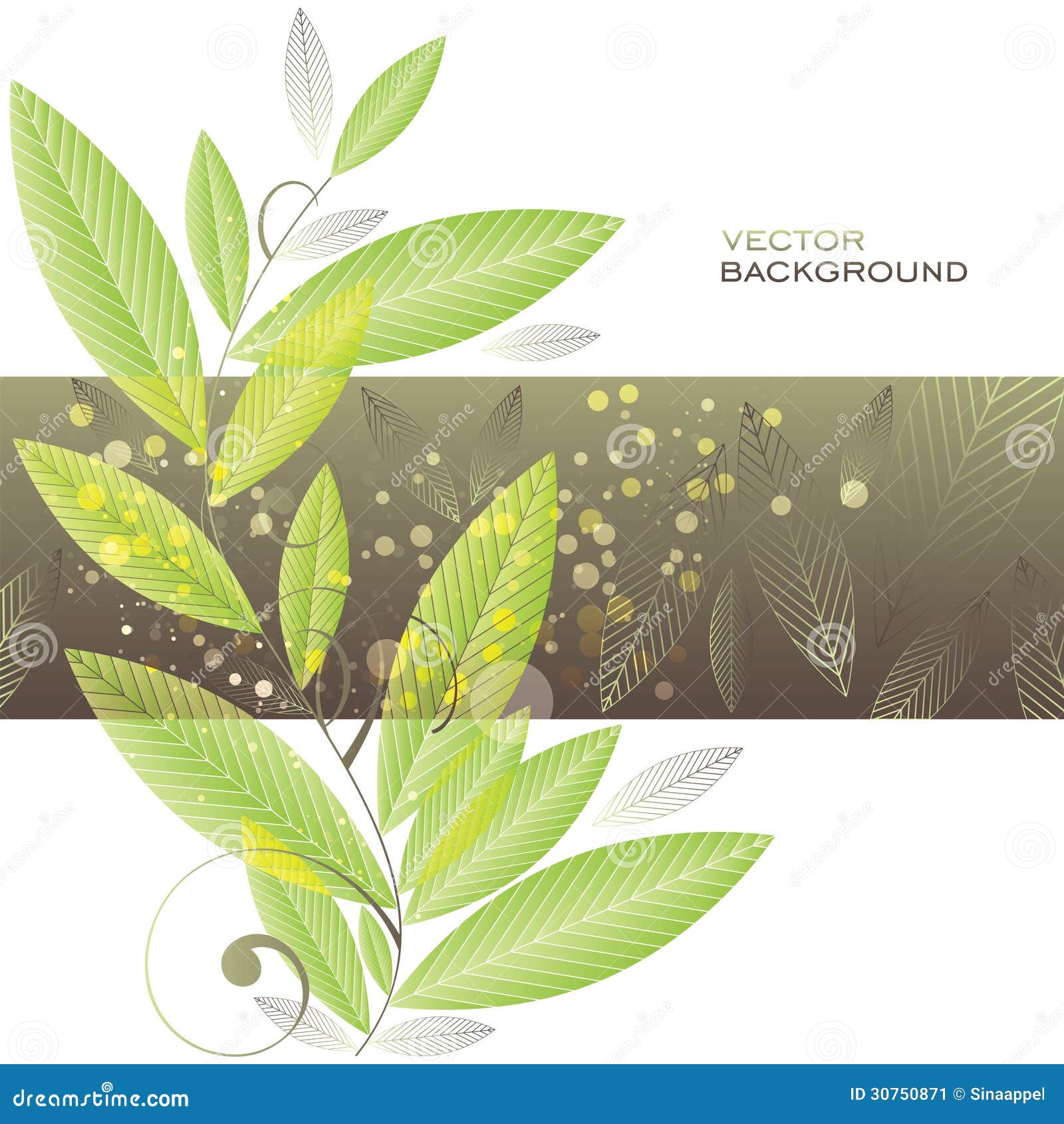 Green Leaves Background Cartoon Vector | CartoonDealer.com #30750871