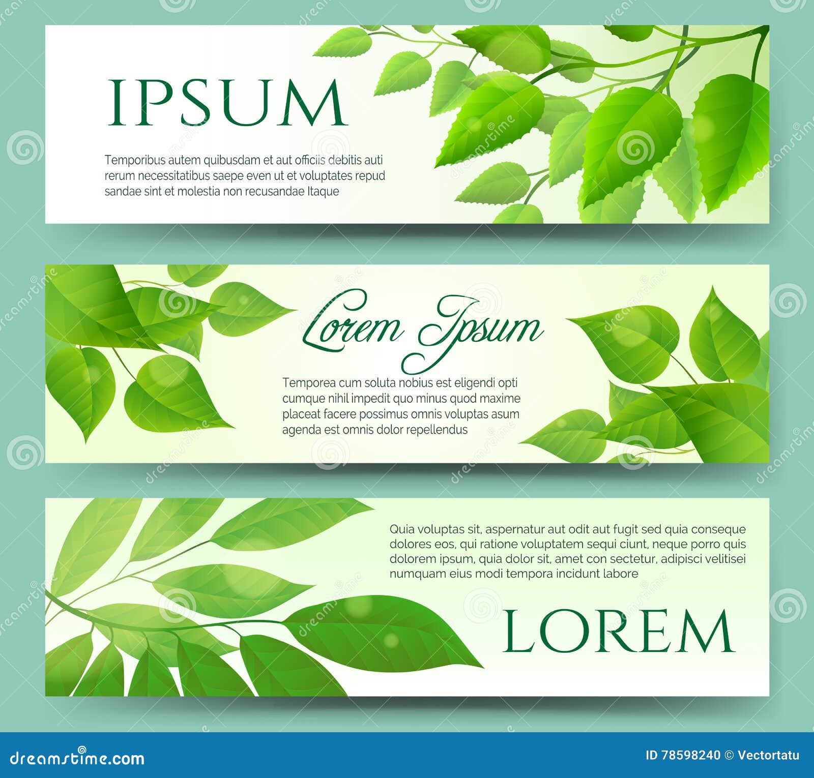 Green leaves banners stock vector. Illustration of frames - 78598240