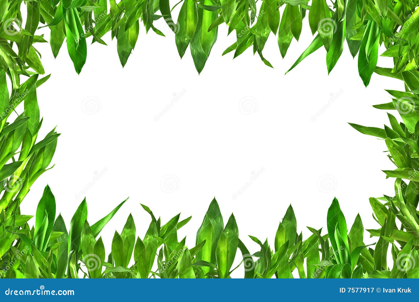 Green leaves border stock image. Image of leaves, beauty - 7577917