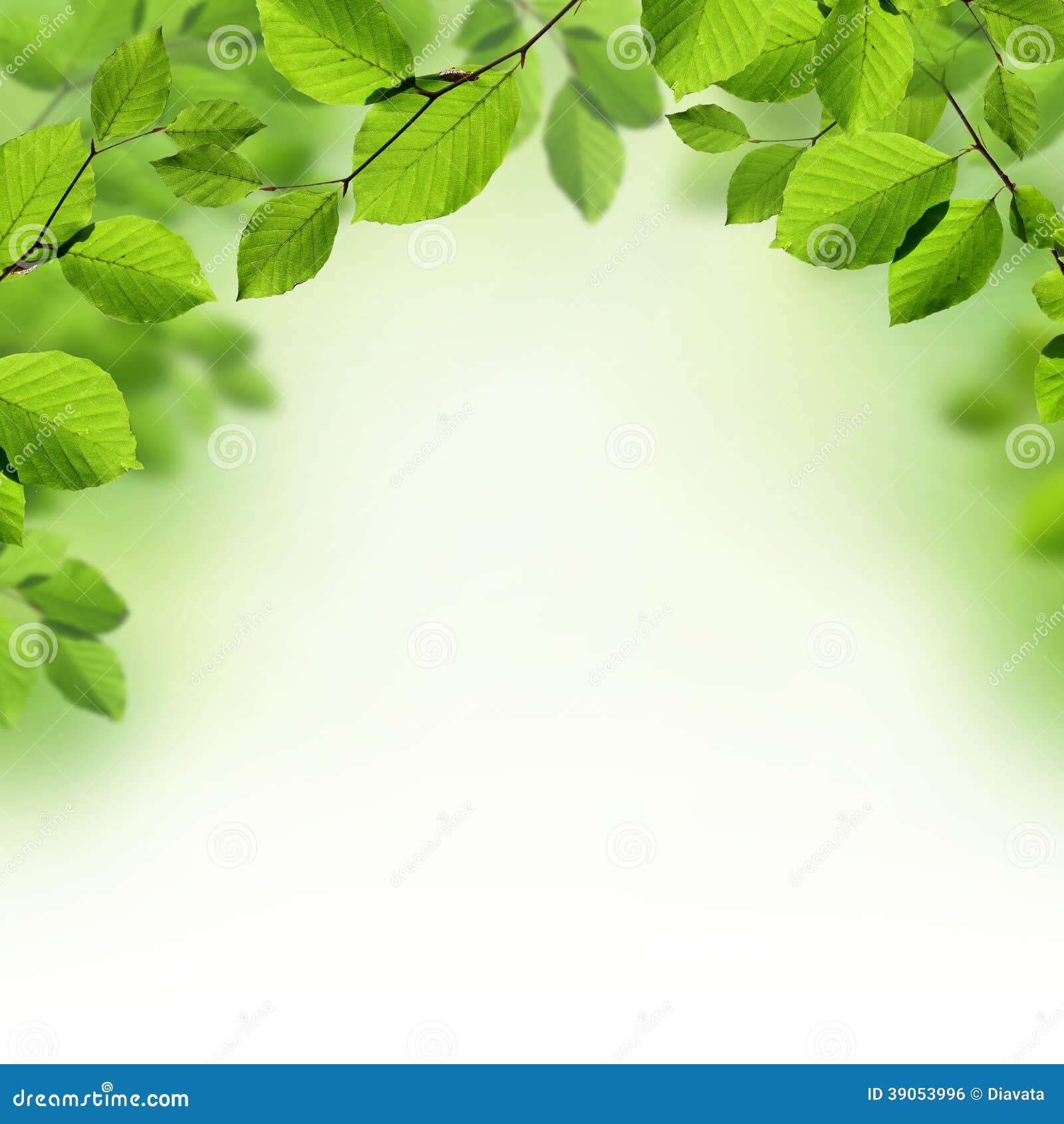 Green Leaves Border Background Stock Photo - Image of green, foliage ...