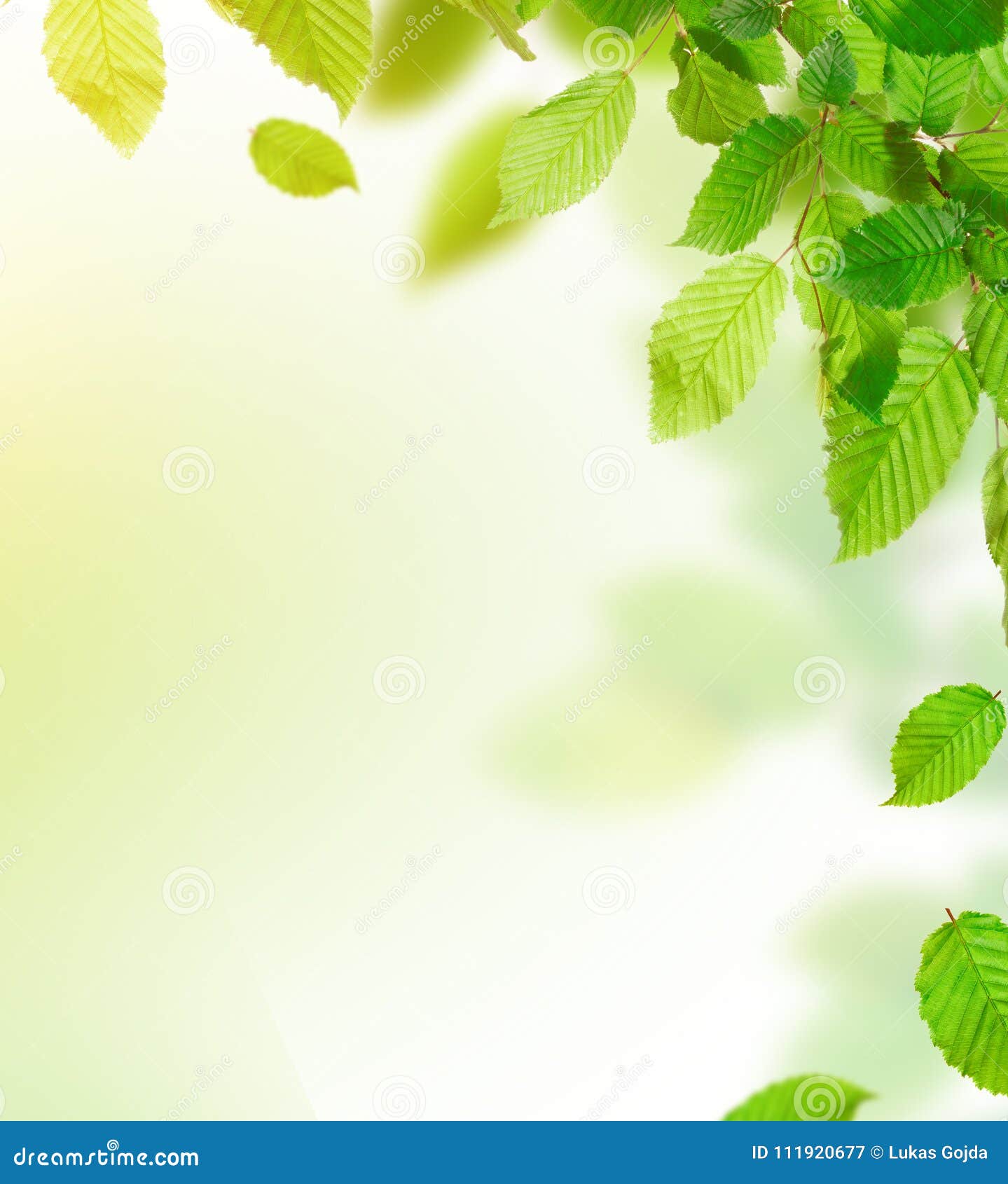 Green Leaves Border with Copy Space Stock Image - Image of closeup ...