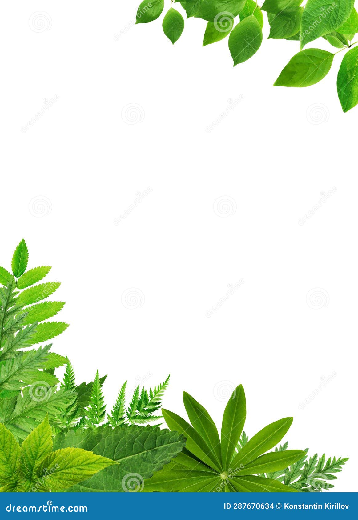 Green Leaves Border stock photo. Image of flora, oxygen - 287670634