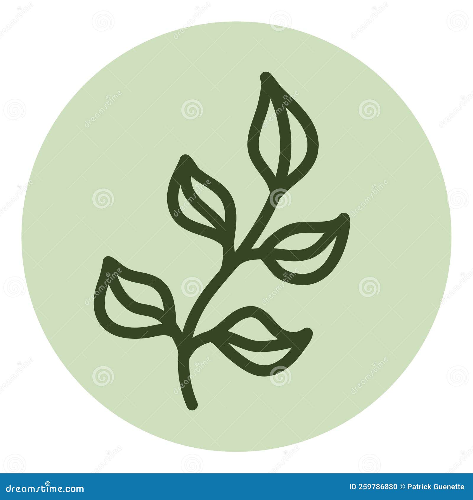 Green Leaves on a Branch, Icon Stock Vector - Illustration of design ...