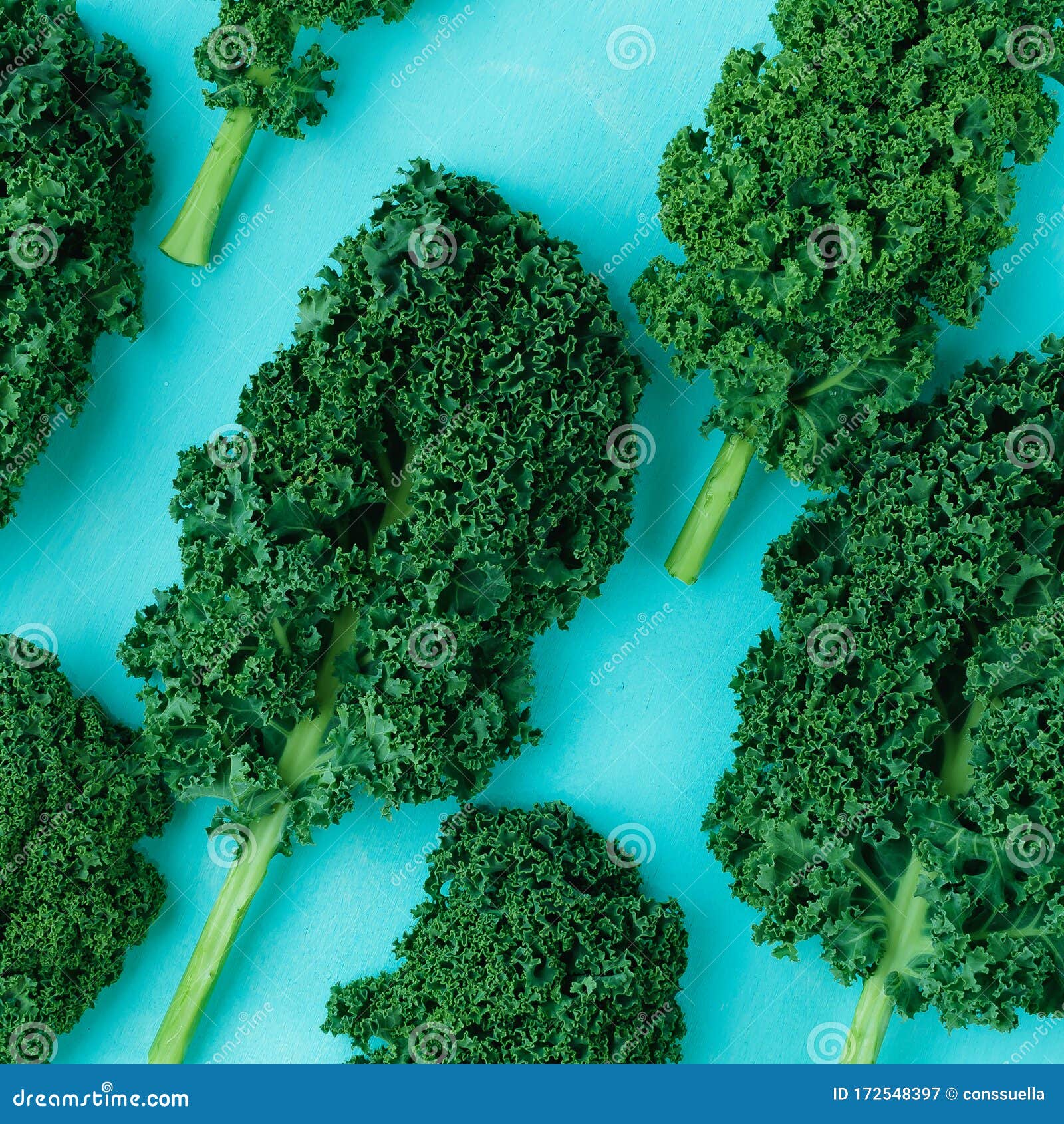 Kalegreen Leaves Curly Kale, Pattern, Top View, Flat Lay Stock Image ...