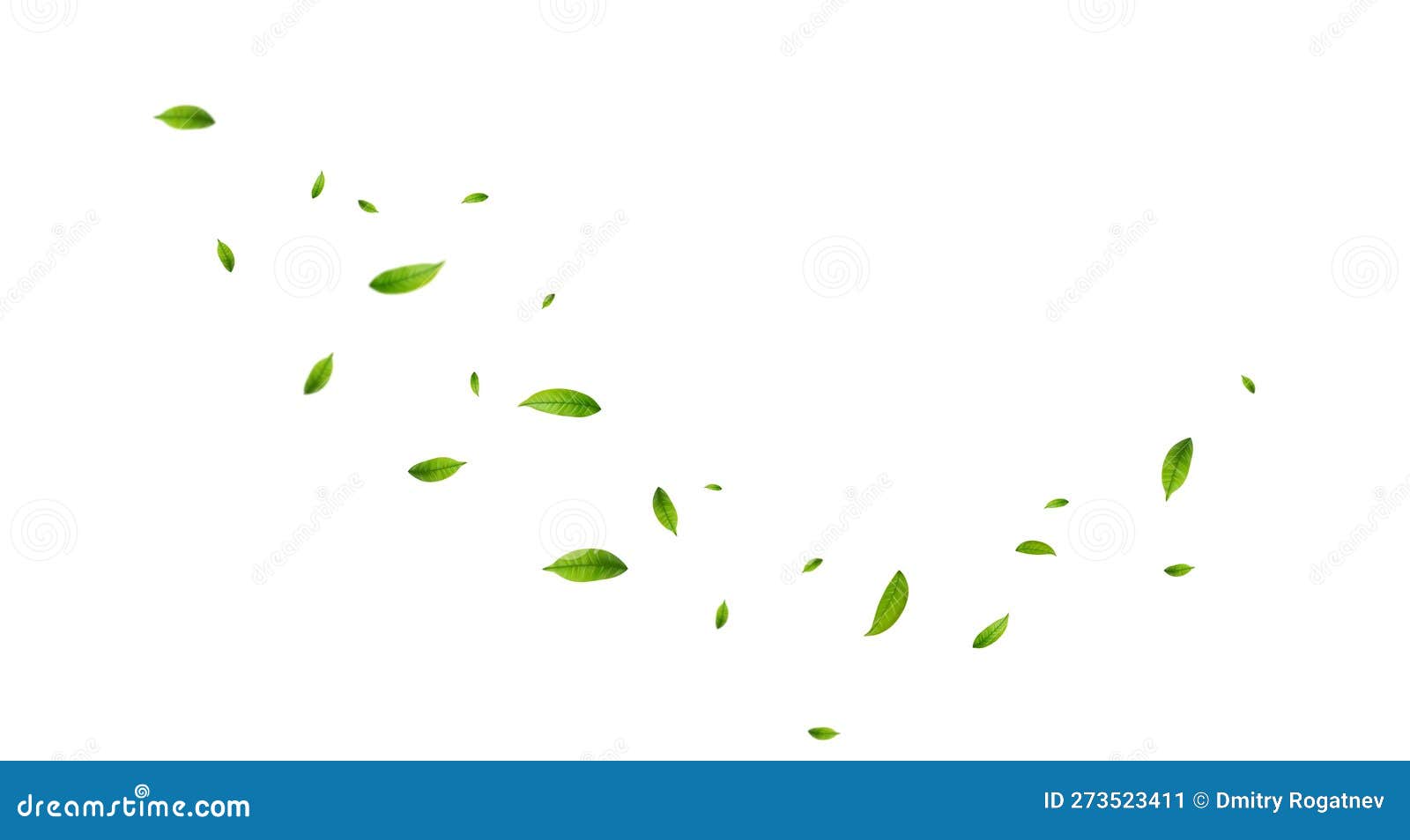 Green Leaves Fly with a Gust of Wind. Stock Vector - Illustration of ...