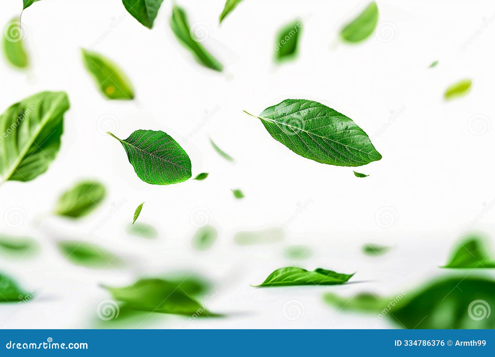 Green Leaves Flying in the Air on White Background. Nature Background ...