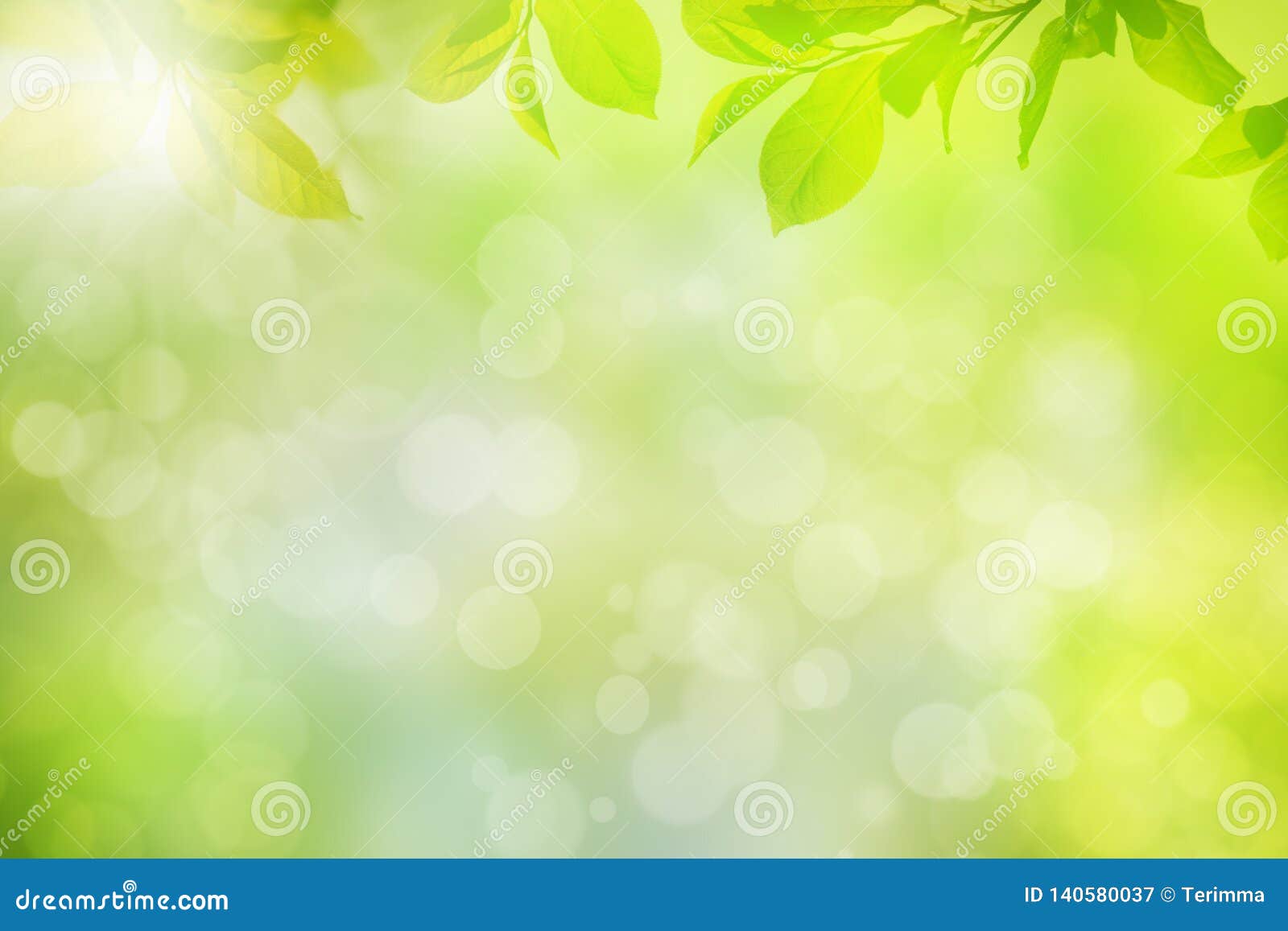 Green Leaves Frame on Natural Background Stock Image - Image of park ...