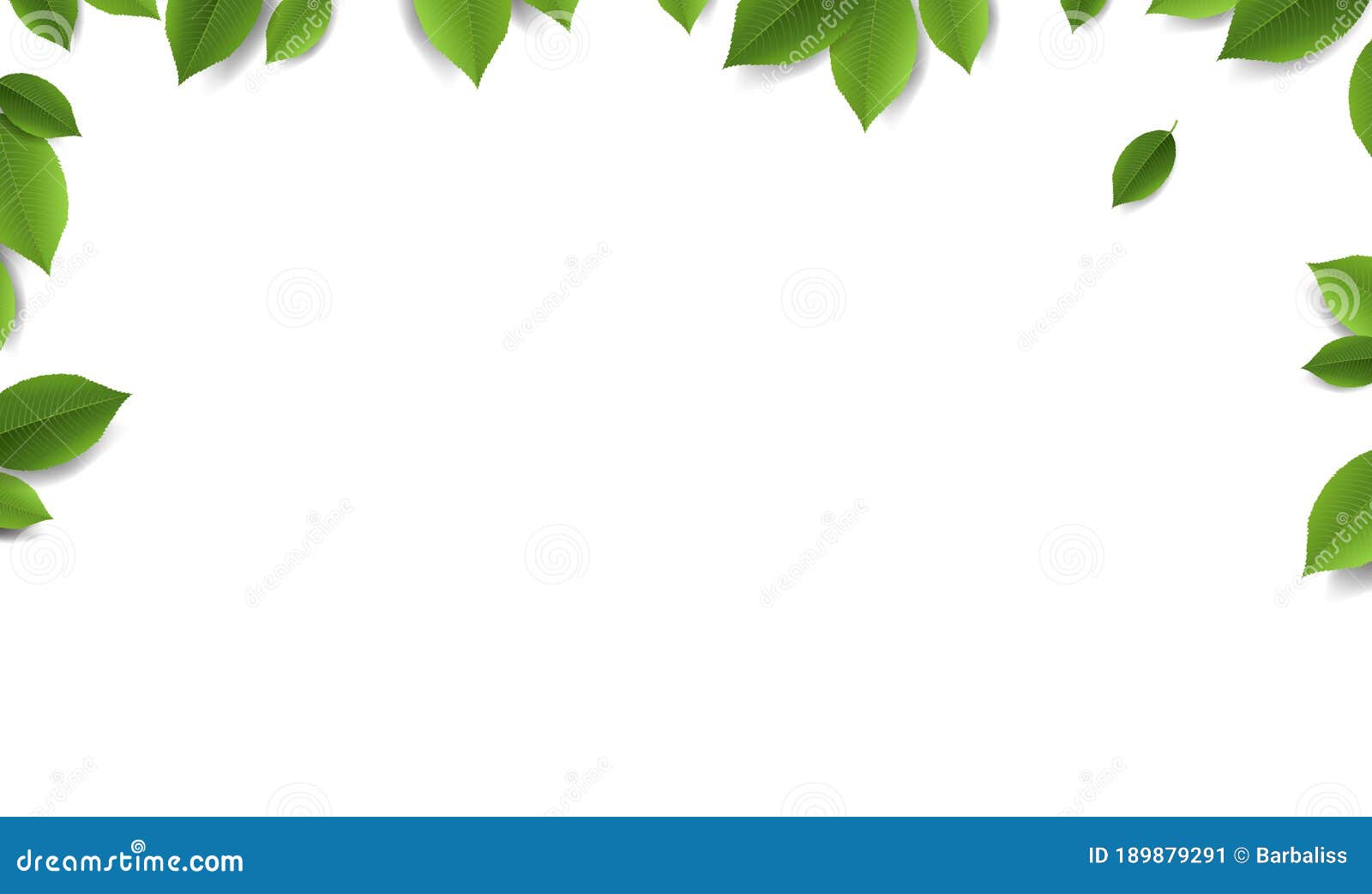 Green Leaves Frame with White Background Stock Vector - Illustration of ...