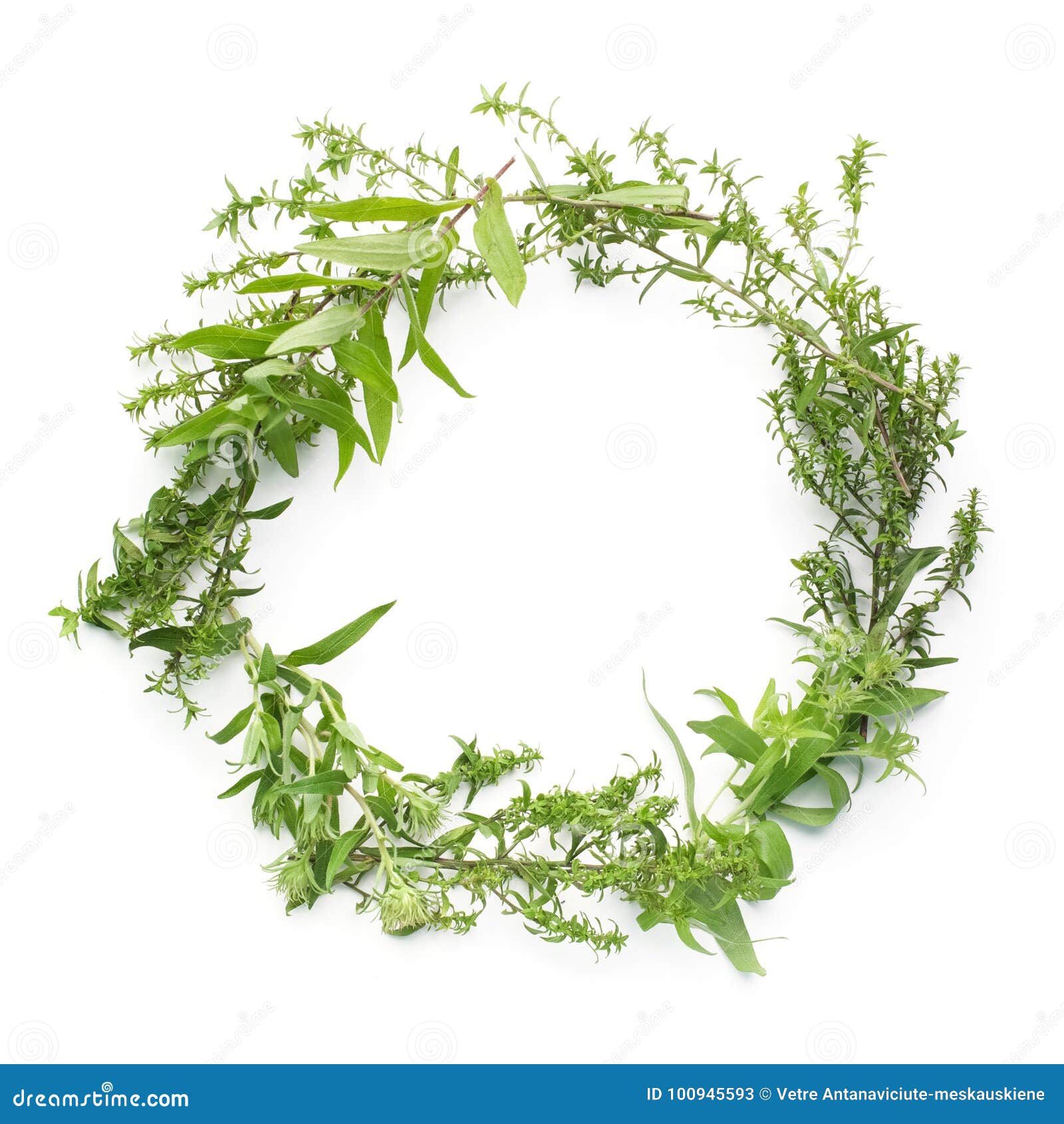 Green Leaves Round Frame. Flat Lay. Stock Image - Image of border ...