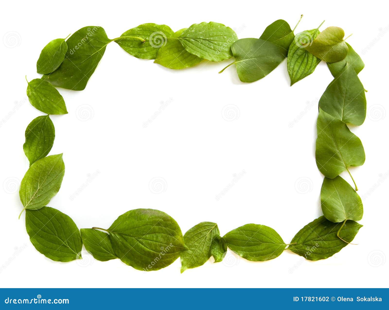 Green Leaves Frame for Your Text Stock Photo - Image of frame, template ...
