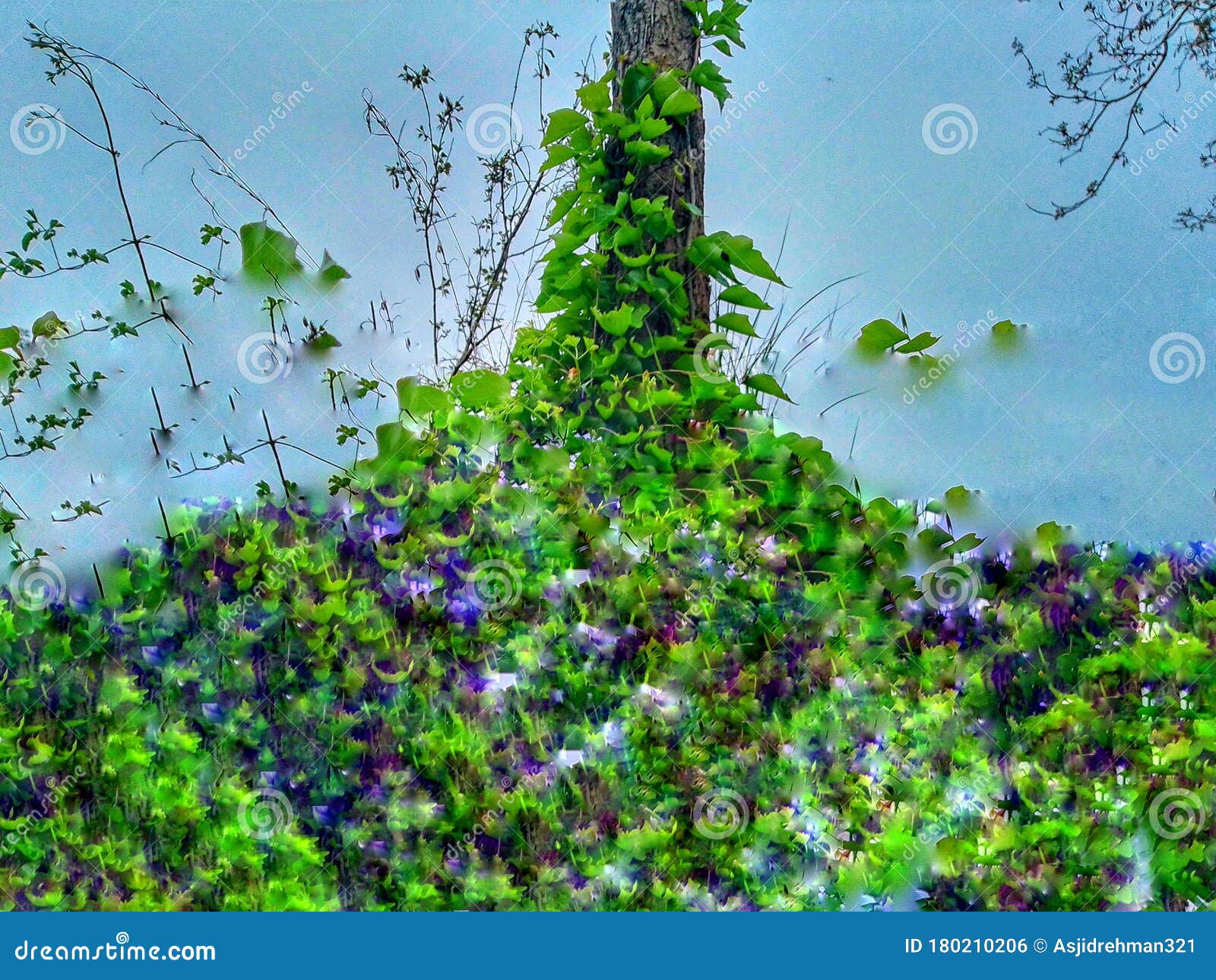 Green Leaves Growing Over Tree Bark Creating a Pleasing Texture Stock ...