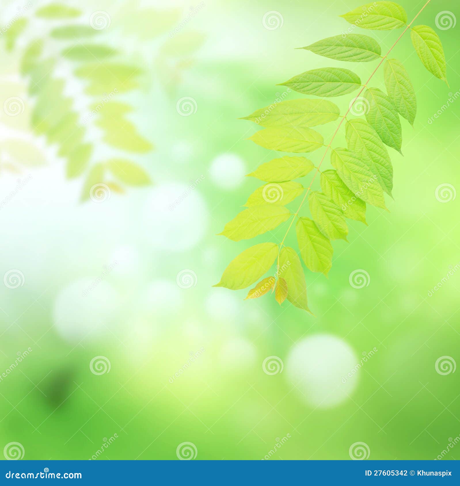 Green Leaves and Harmony Background Stock Photo - Image of design, lush ...