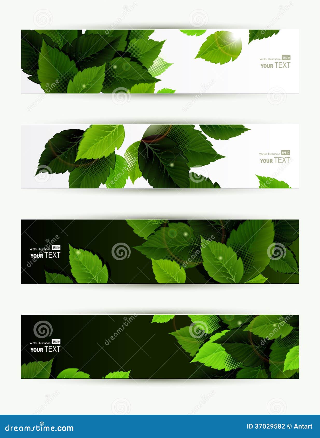 Green leaves stock vector. Illustration of background - 37029582