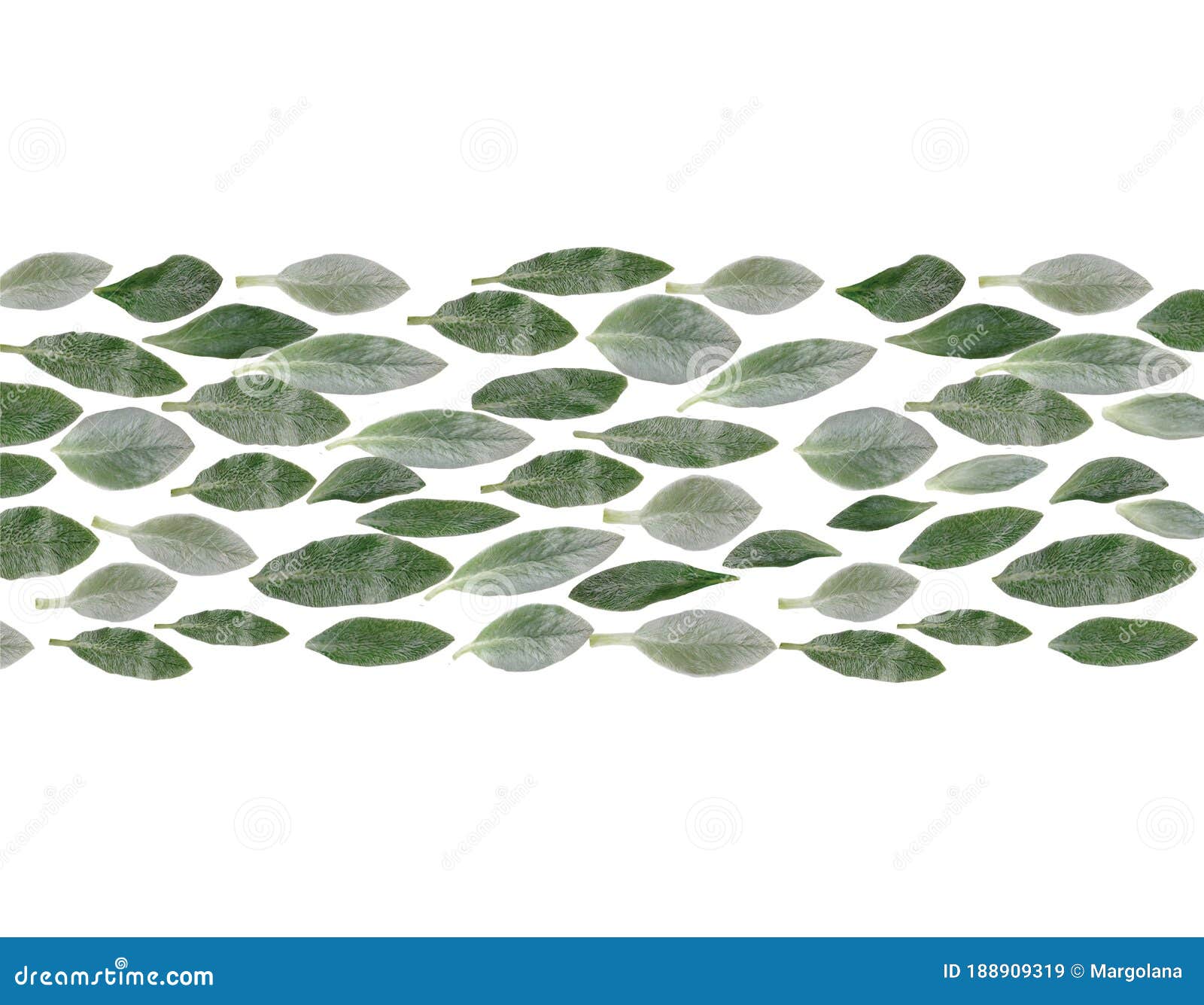 Green Leaves Horizontal Line Natural Background Stock Image - Image of ...