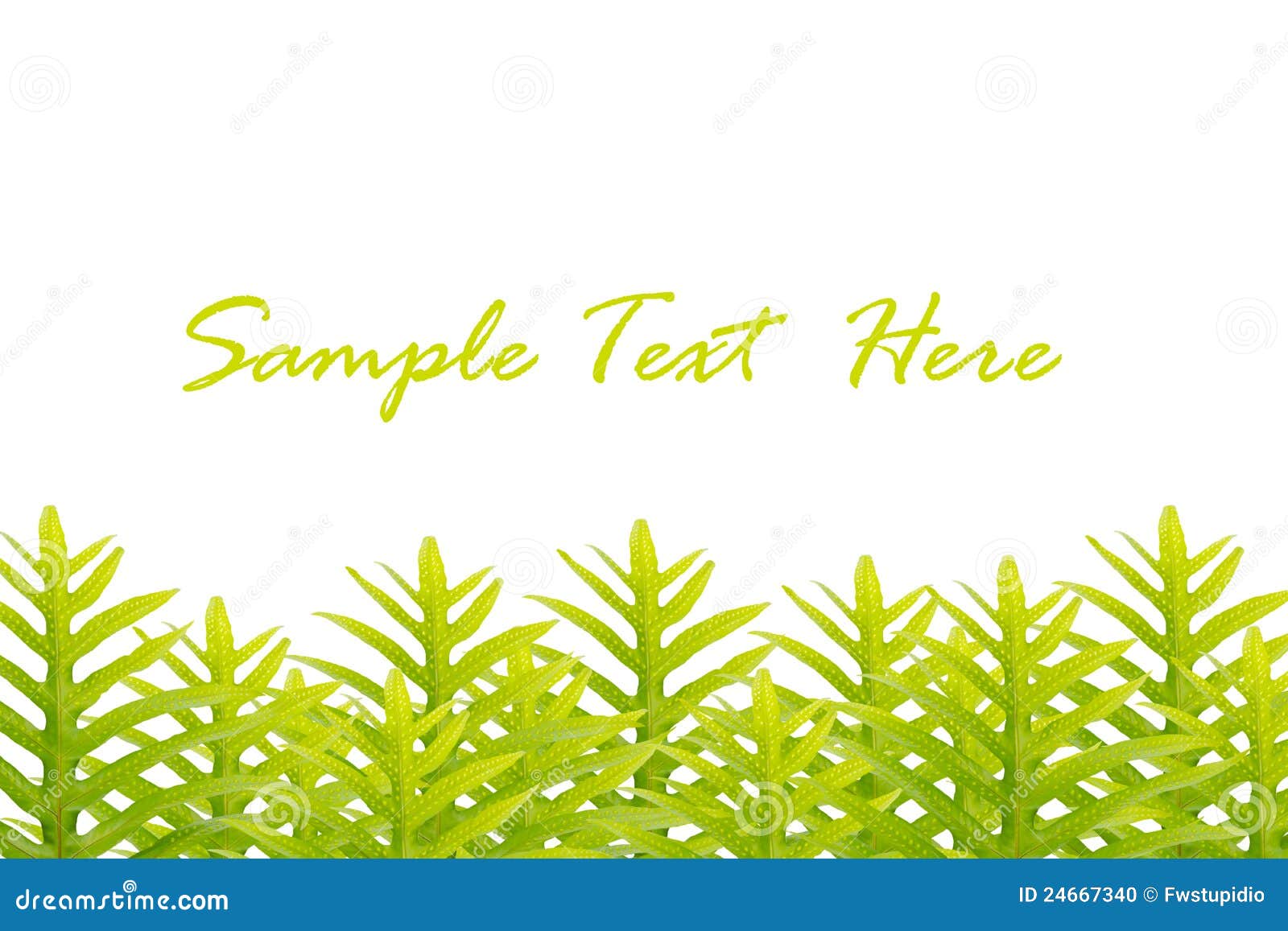 Green Leaves Isolated for Text and Background Stock Photo - Image of ...