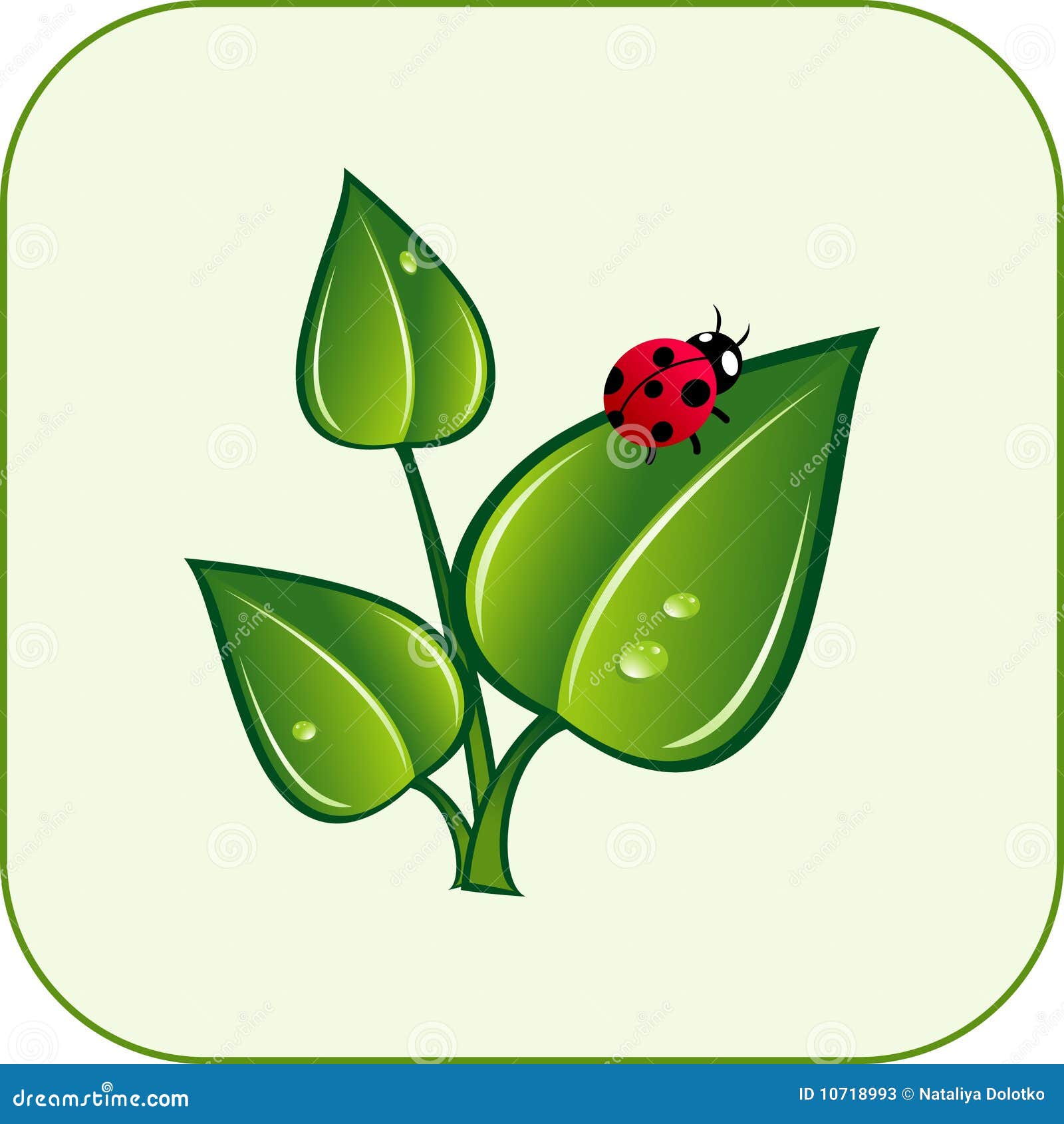 Green leaves with ladybug stock vector. Illustration of decorative ...