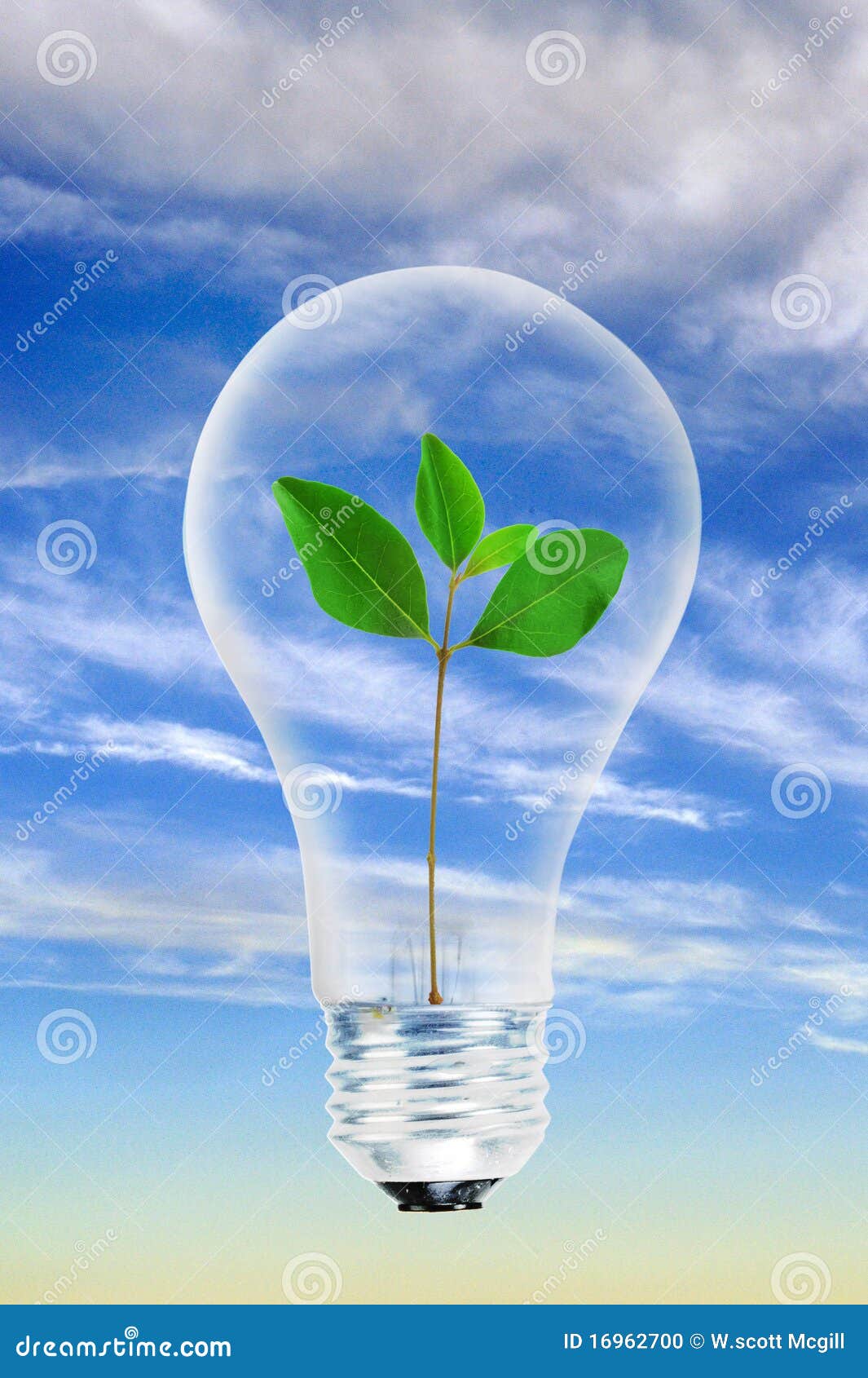 Green leaves in light bulb stock photo. Image of environmental - 16962700