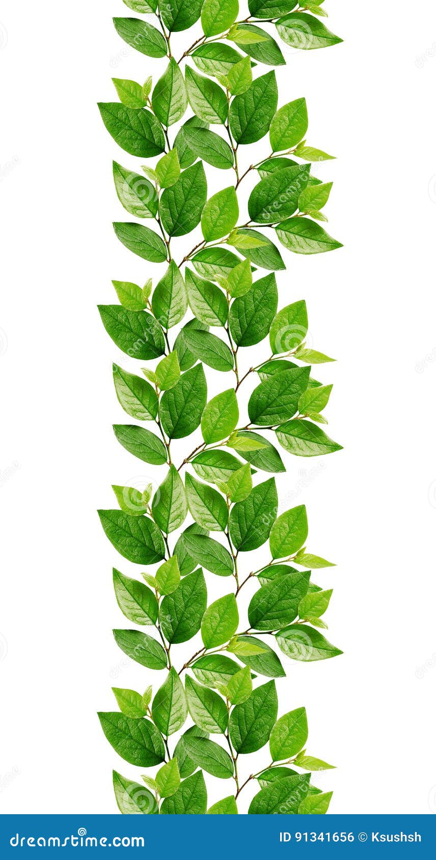 Green Leaves Line Seamless Pattern Stock Photo - Image of branch ...