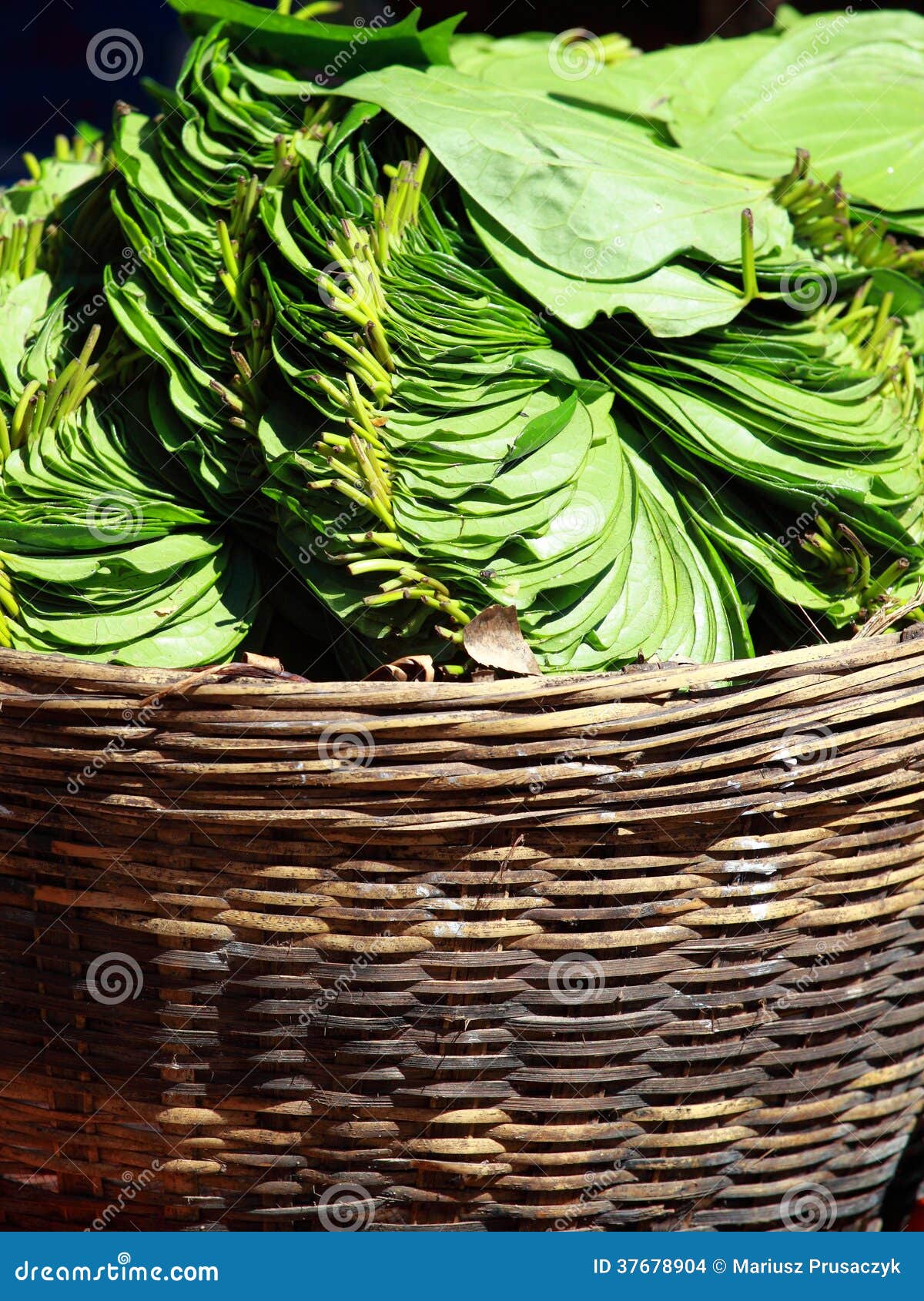 Green Leaves in Local Market in India. Stock Photo - Image of flower ...