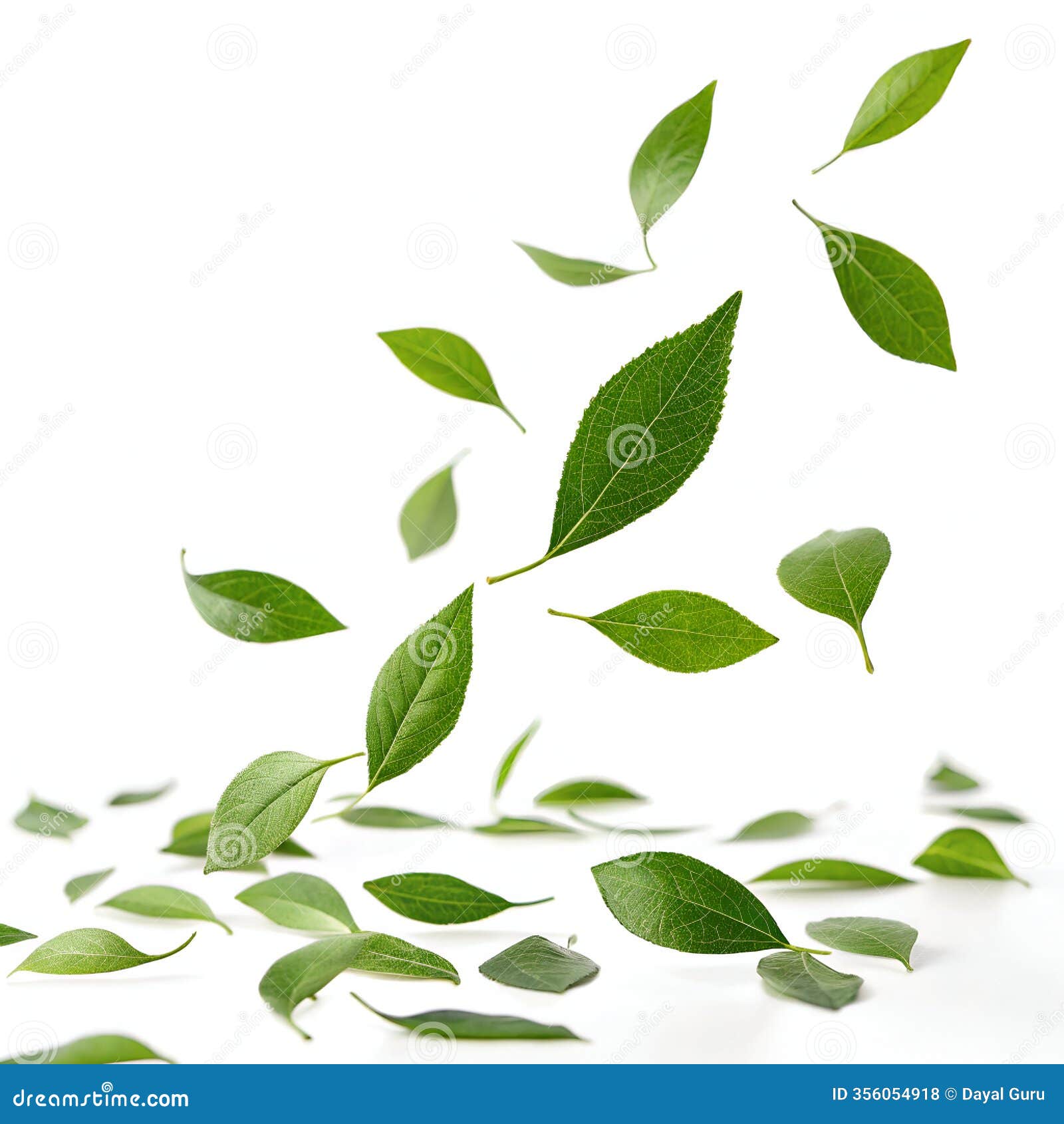 Green Leaves Movement Falling Flow Isolated on White Background Stock ...