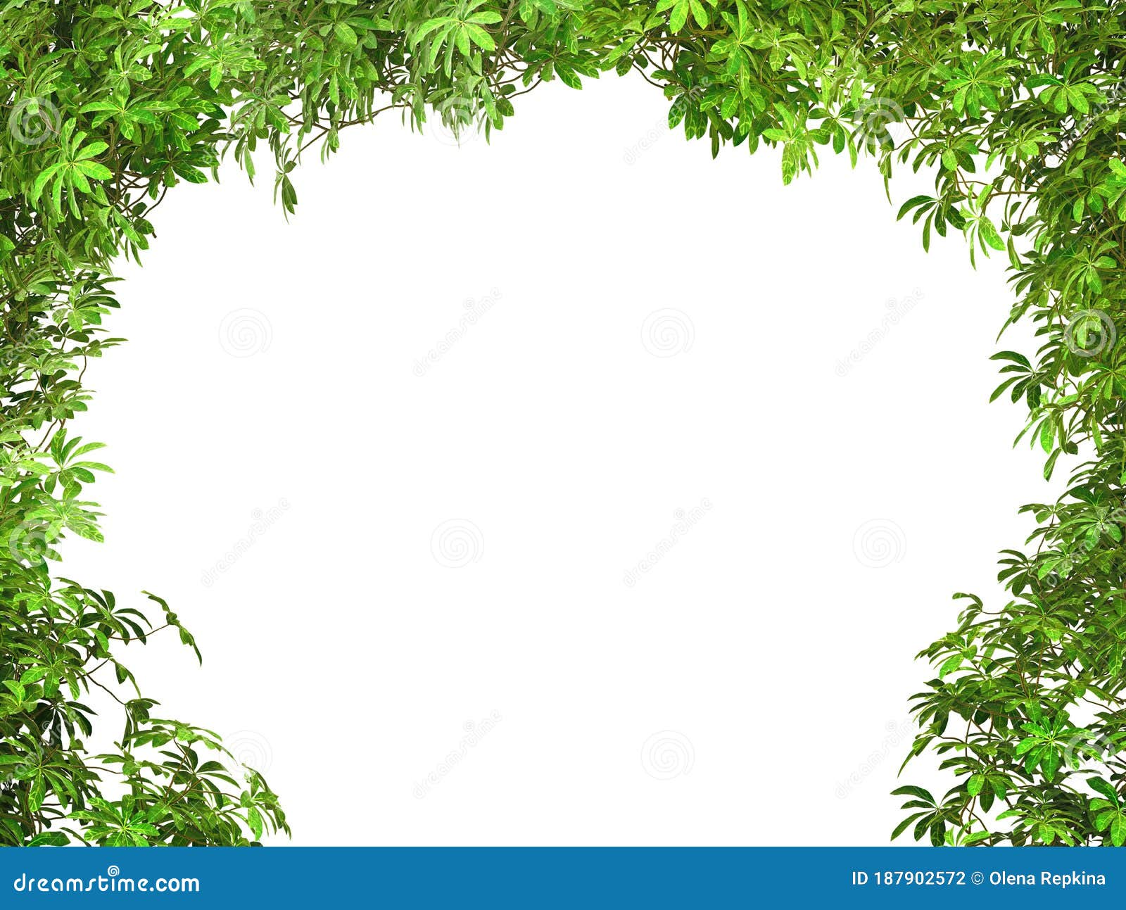 Creeper With Leaves Nature Design Vector Illustration | CartoonDealer ...