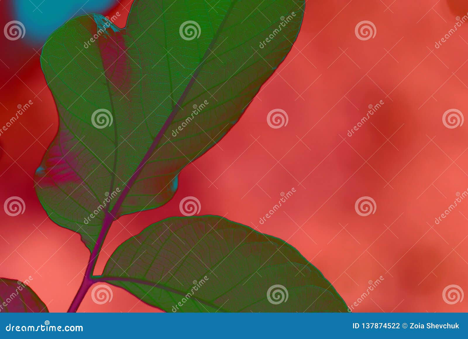Green Leaves with Neon Effect on Coral Background Stock Photo - Image ...