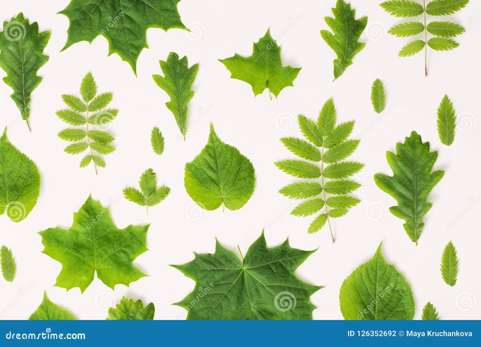 Green Leaves on Paper Background Stock Photo - Image of abstract ...