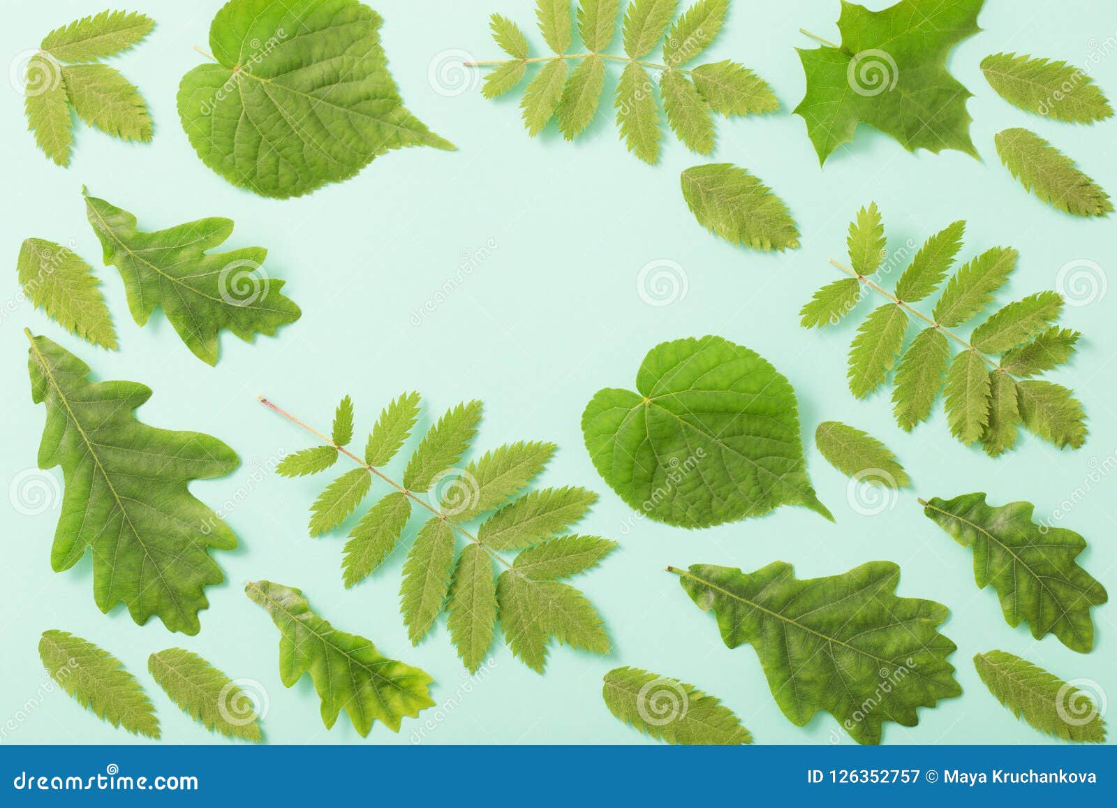 Green Leaf Paper Background Stock Images - 29,861 Photos
