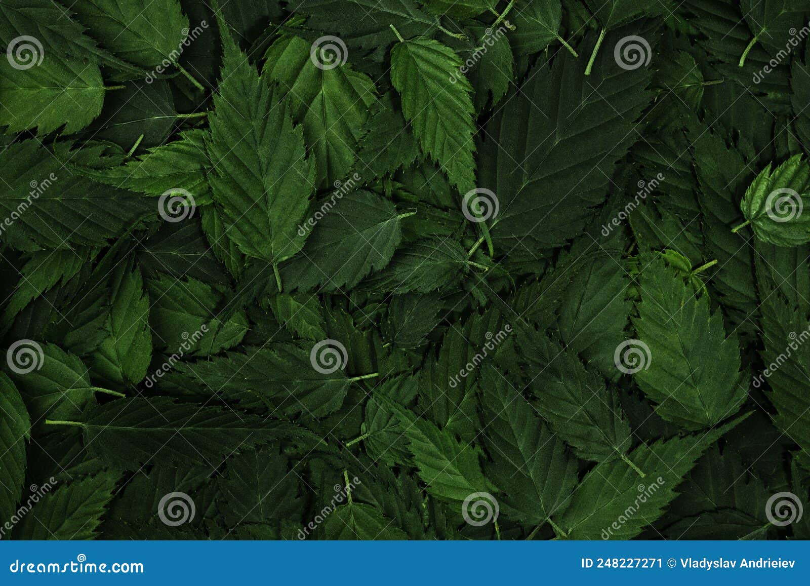 Nature Background and Wallpaper Stock Image - Image of elements ...