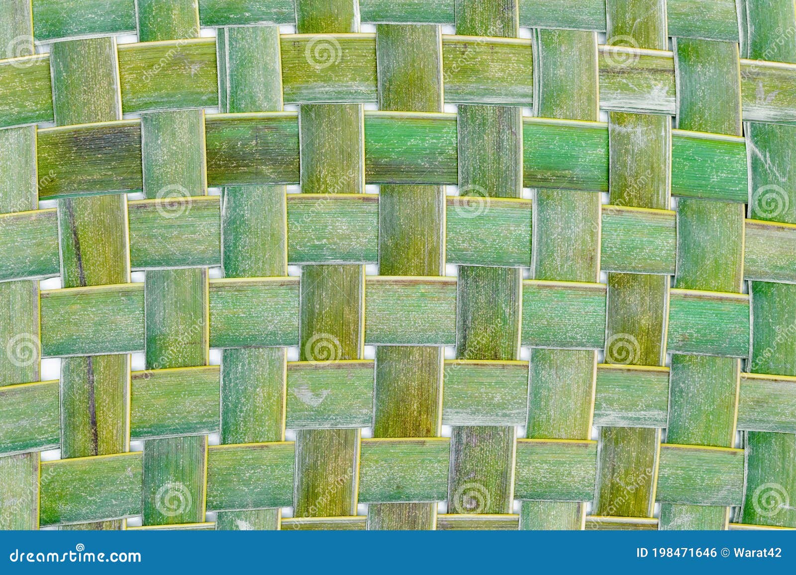 Green Leaves Pattern,Weaving Coconut Leaf Texture Stock Photo - Image ...