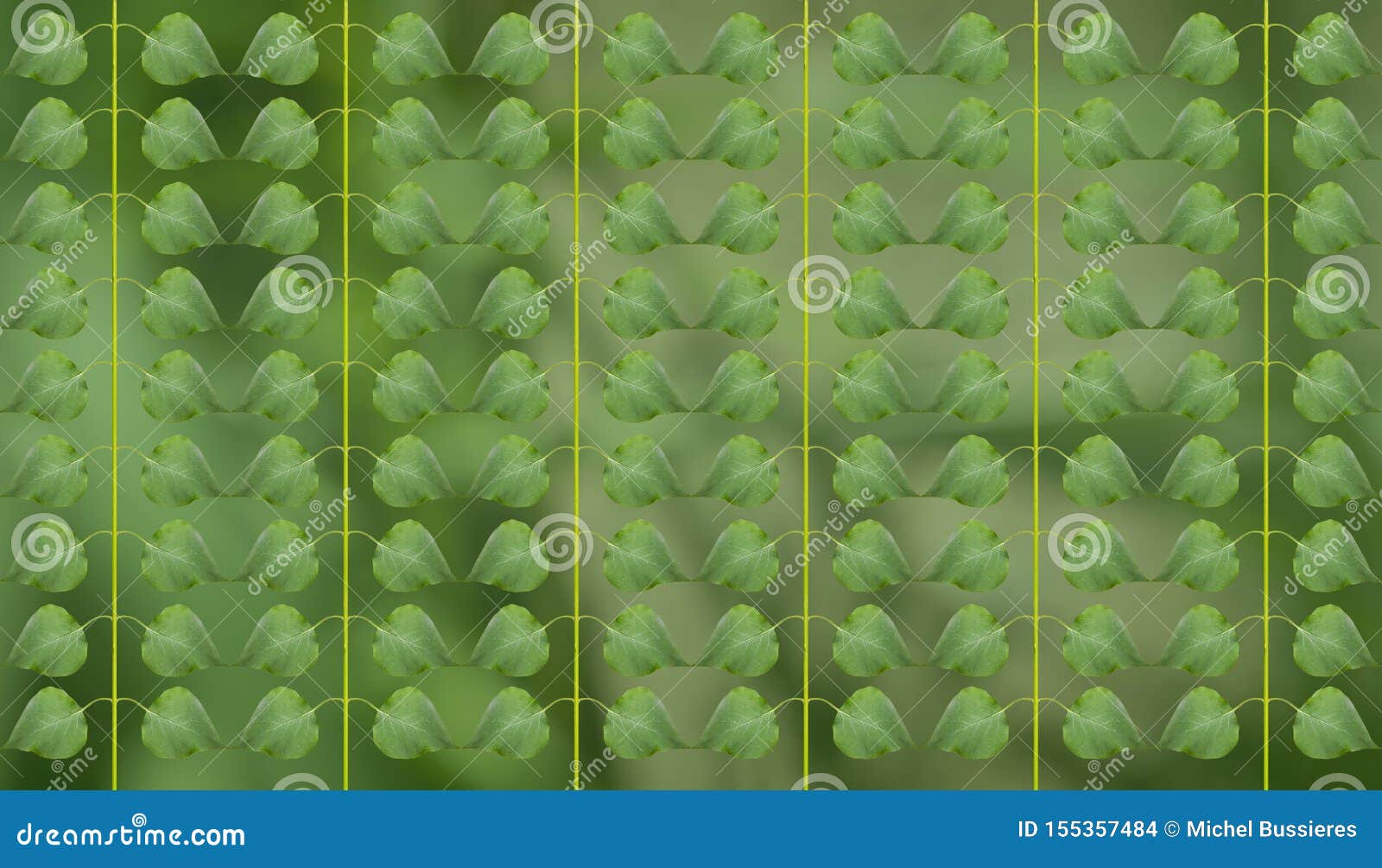 Pattern Montage Leaves and Branches Stock Photo - Image of summer ...