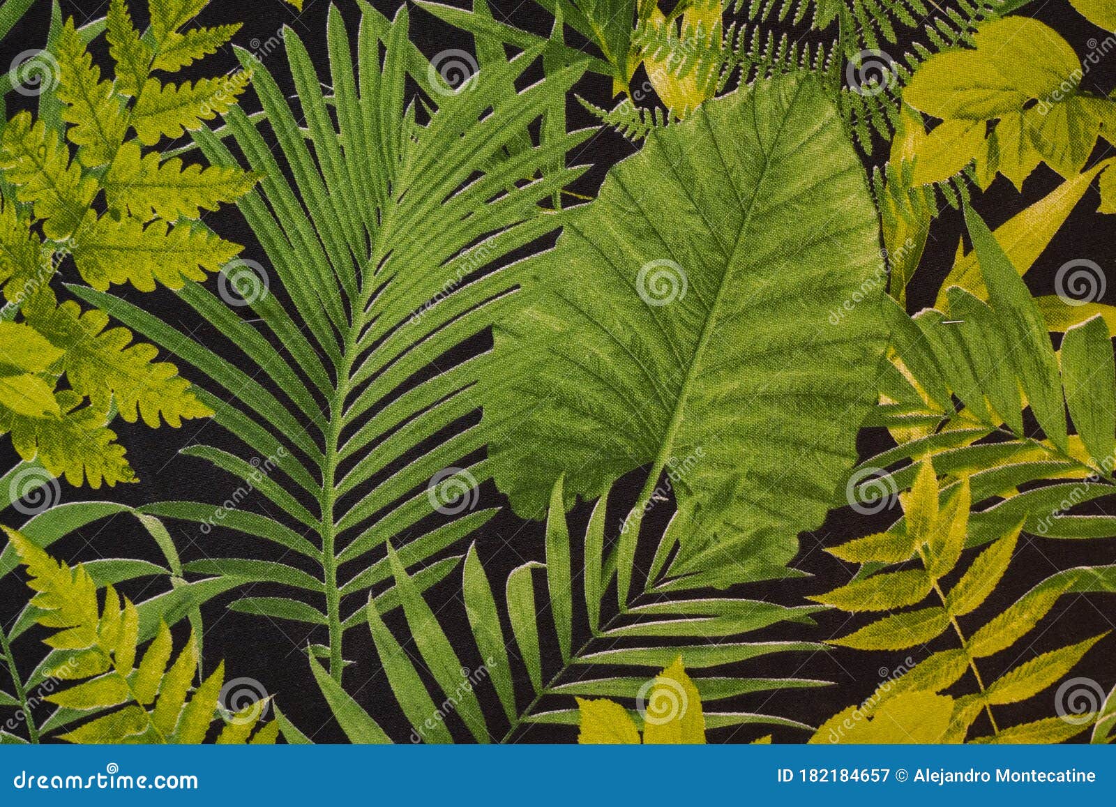 Green Leaves and Plants on Fabric Texture Stock Image - Image of ...