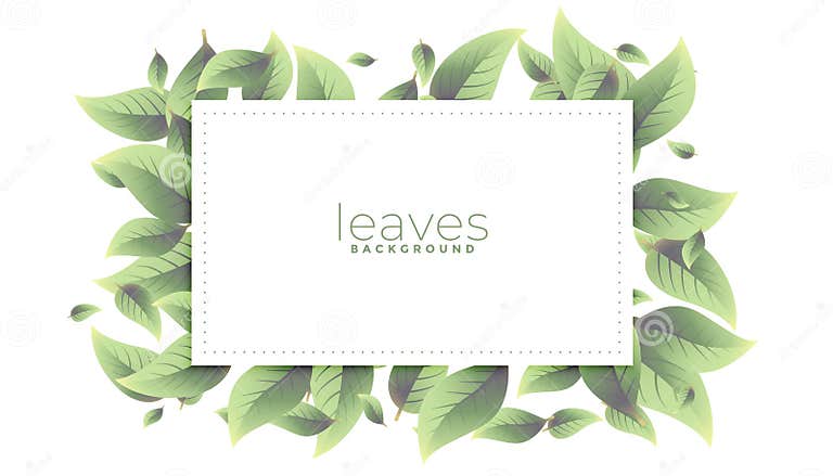 Green Leaves Rectangular Frame Background Design Stock Vector ...