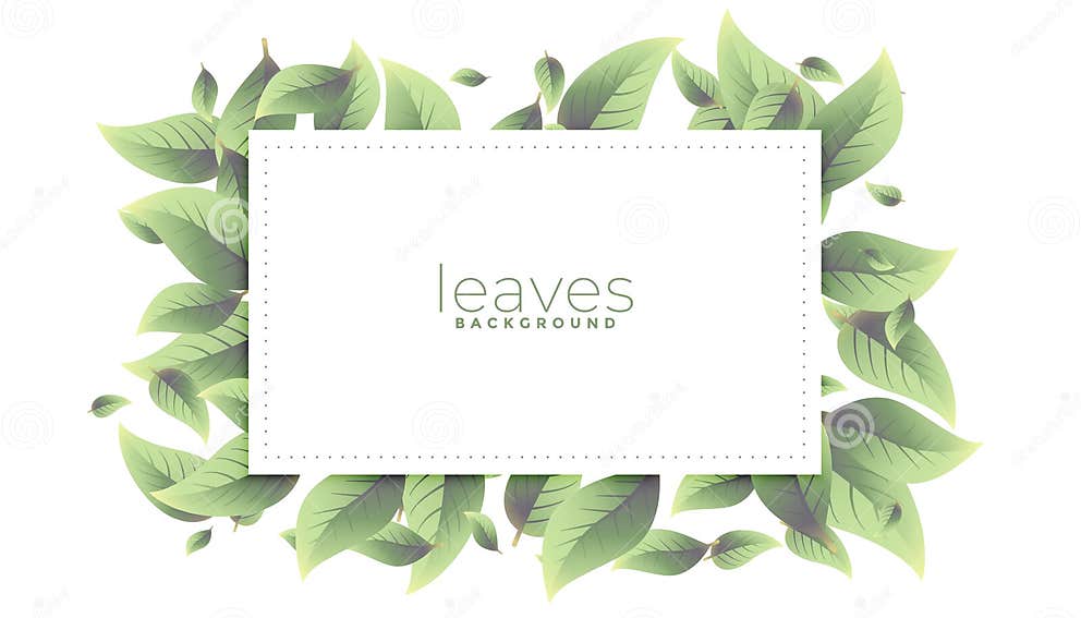Green Leaves Rectangular Frame Background Design Stock Vector ...