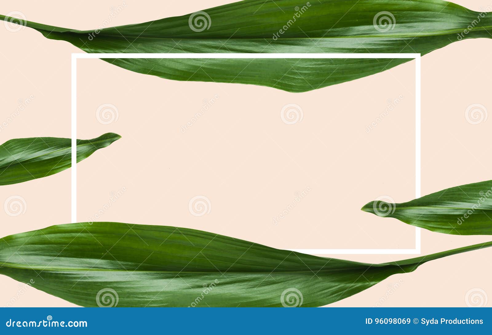 Green Leaves with Rectangular Frame Over Beige Stock Image - Image of ...