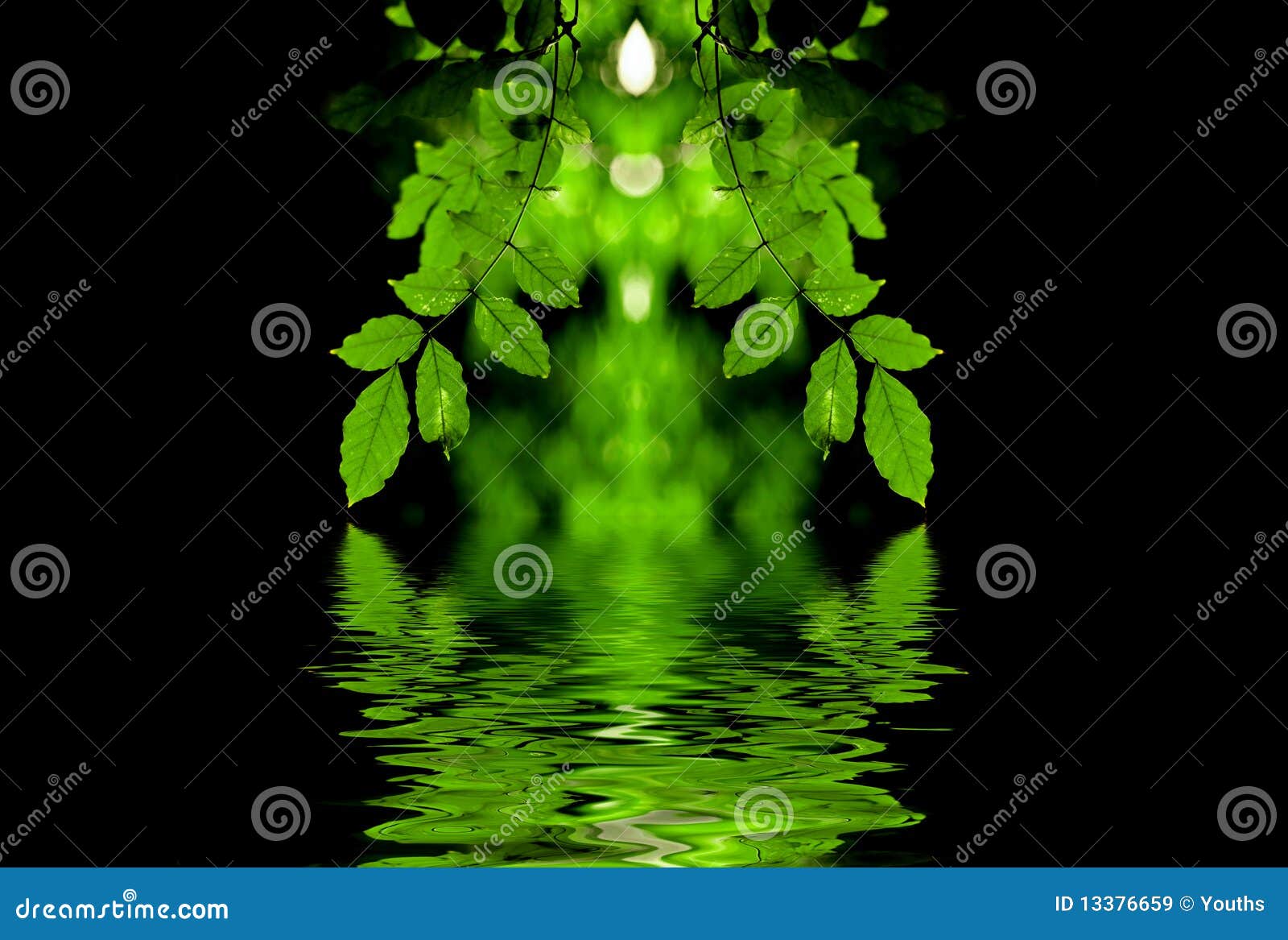 Green leaves reflection stock image. Image of bright - 13376659