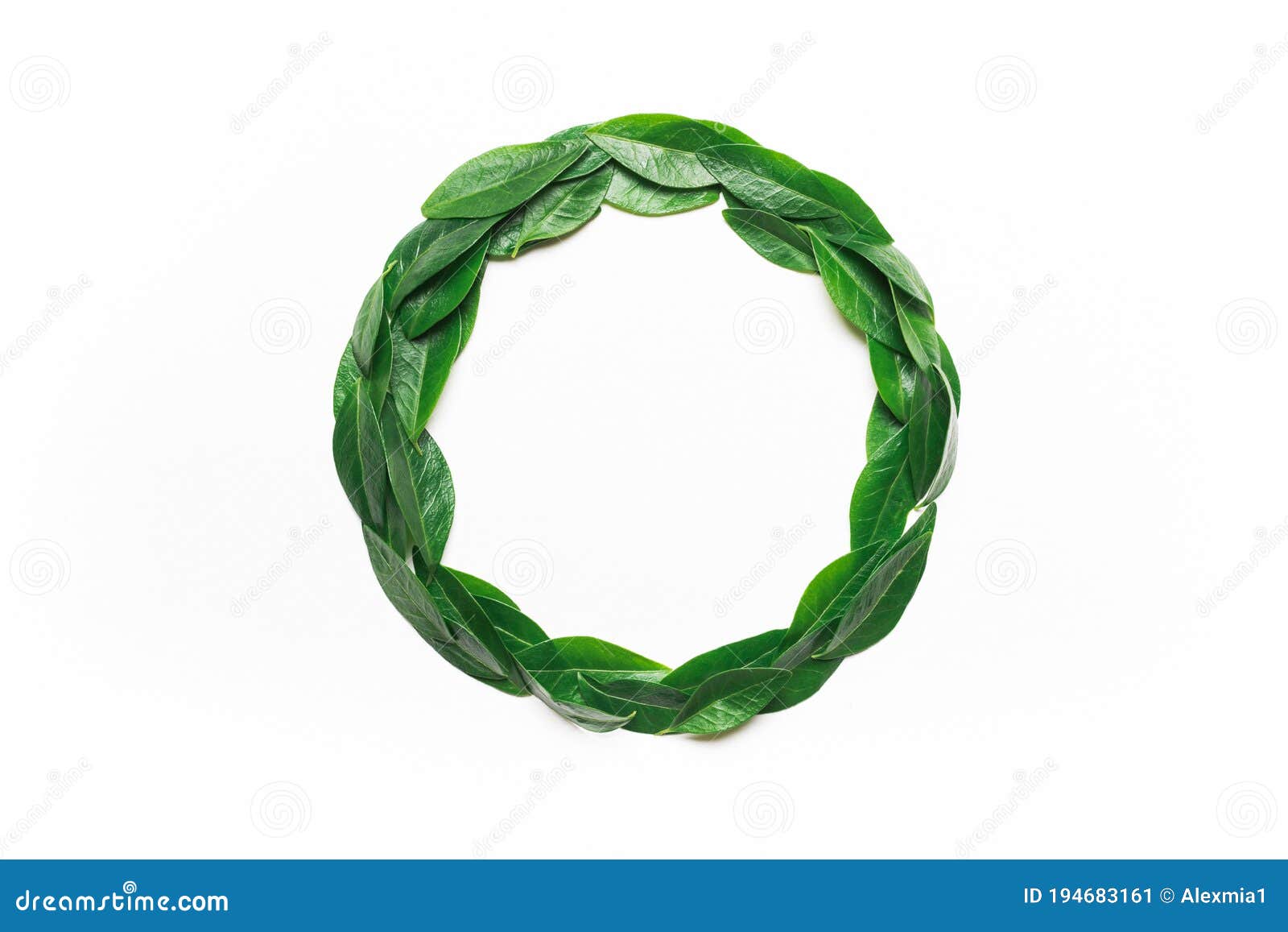 Green Leaves in a Round Frame on a White Background. Minimalistic, Eco ...