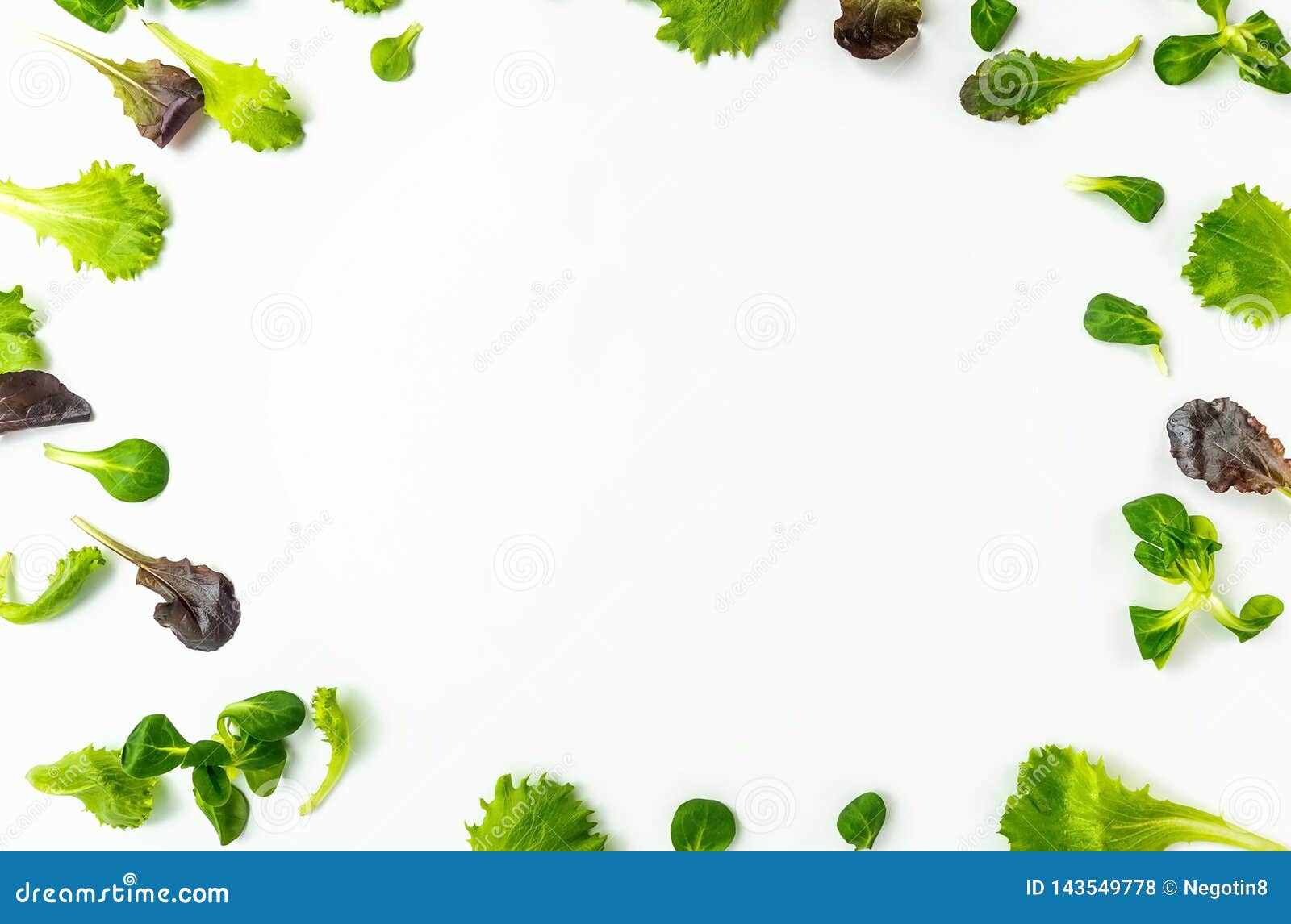 Green Leaves of Salad Border Stock Photo - Image of ingredient, leaf ...