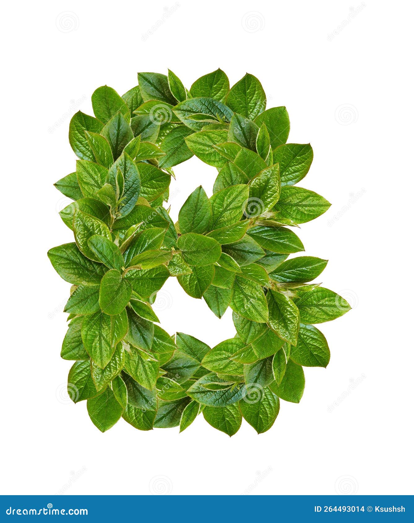 Green Leaves in a Shape of Letter B Isolated Stock Photo - Image of ...