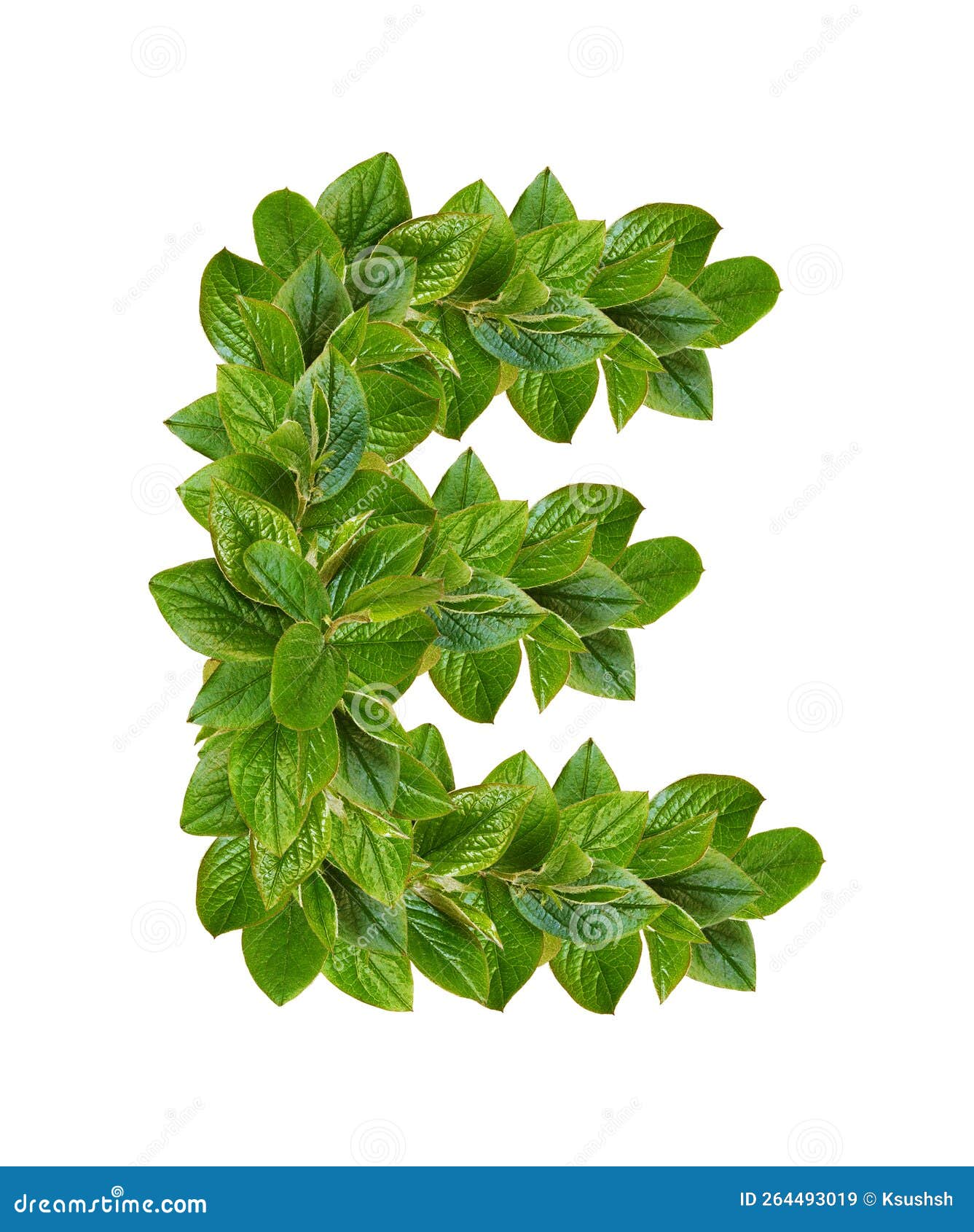 Green Leaves in a Shape of Letter E Isolated Stock Image - Image of ...