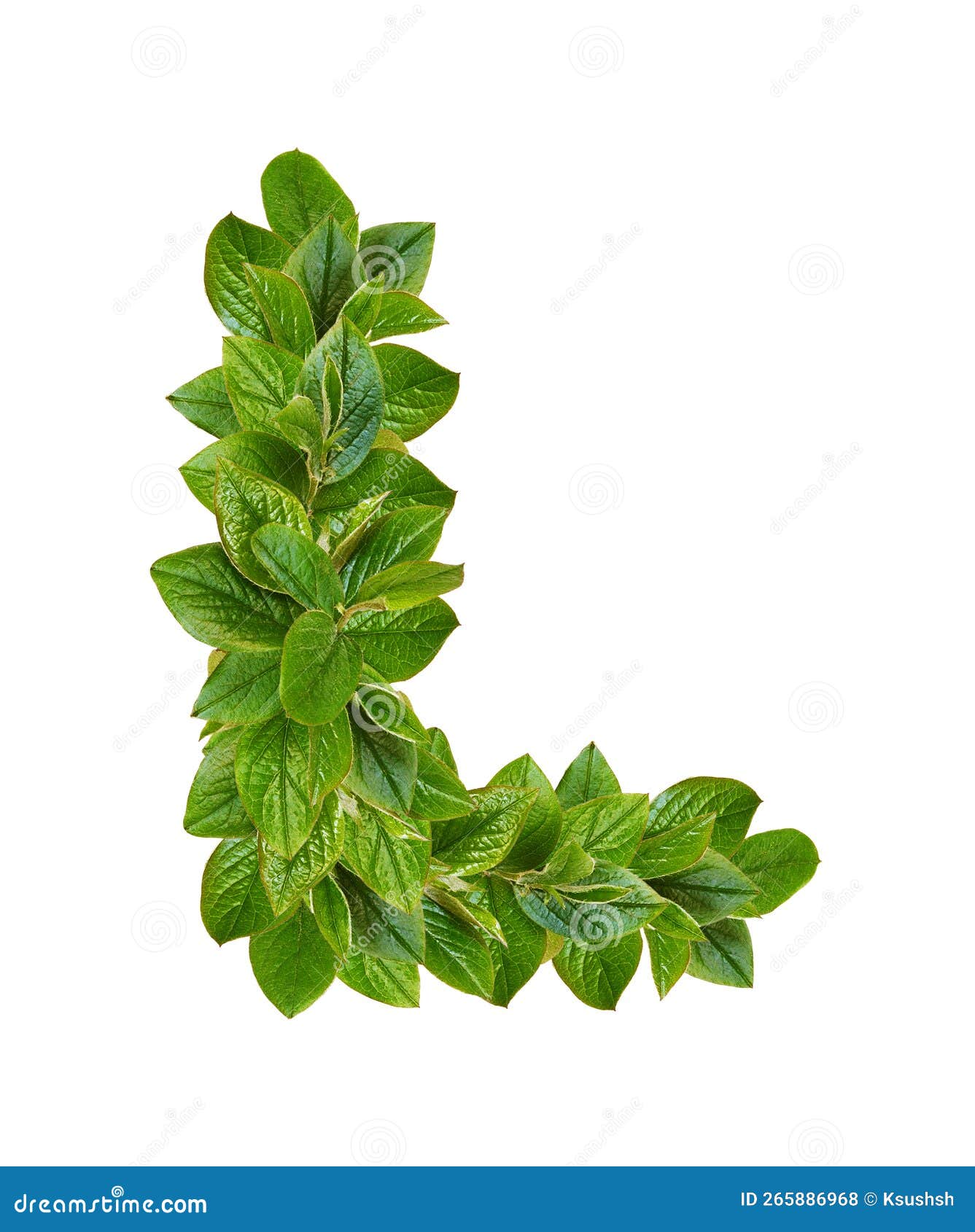 Green Leaves in a Shape of Letter L Isolated Stock Photo - Image of ...