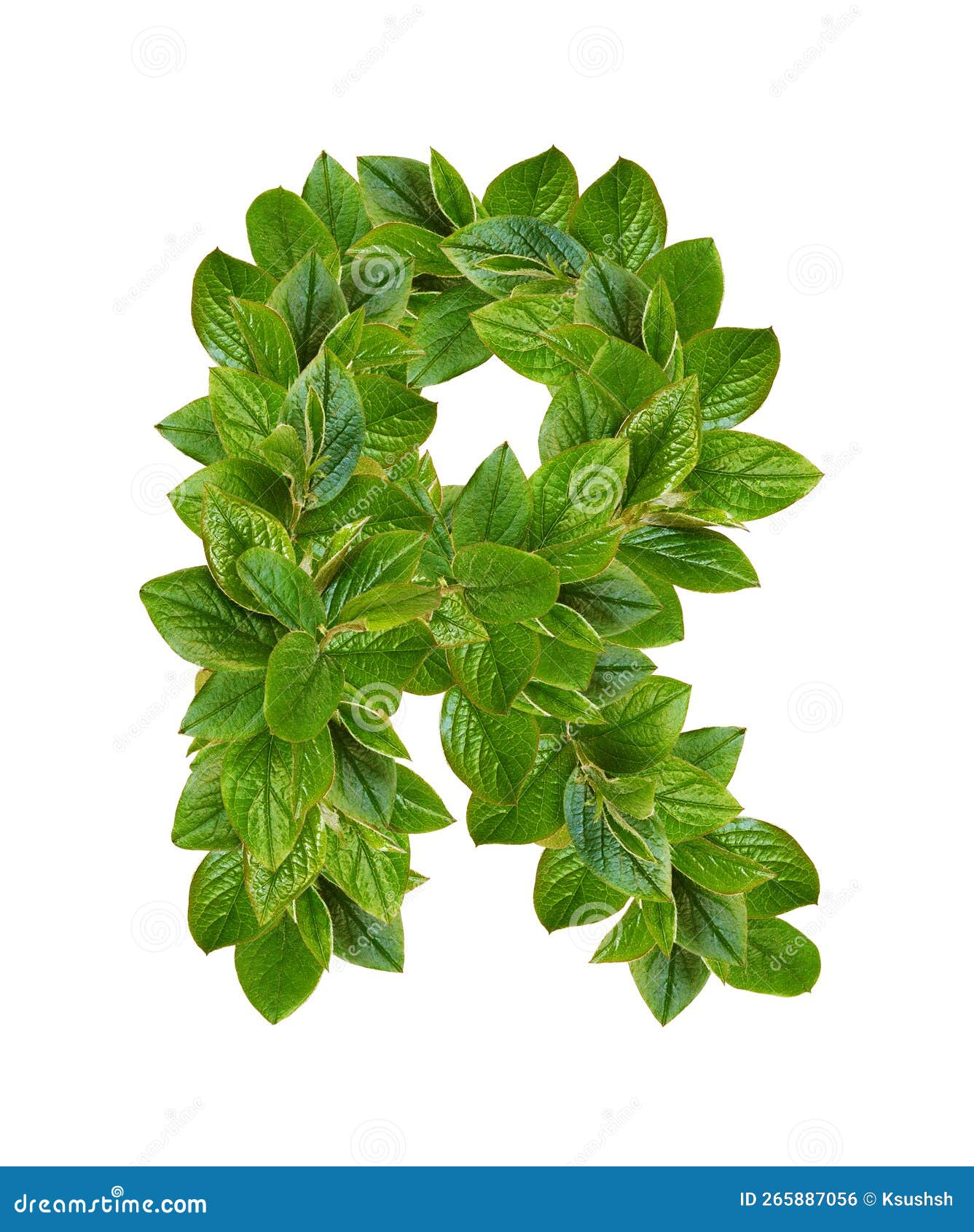 Green Leaves in a Shape of Letter R Isolated Stock Photo - Image of ...