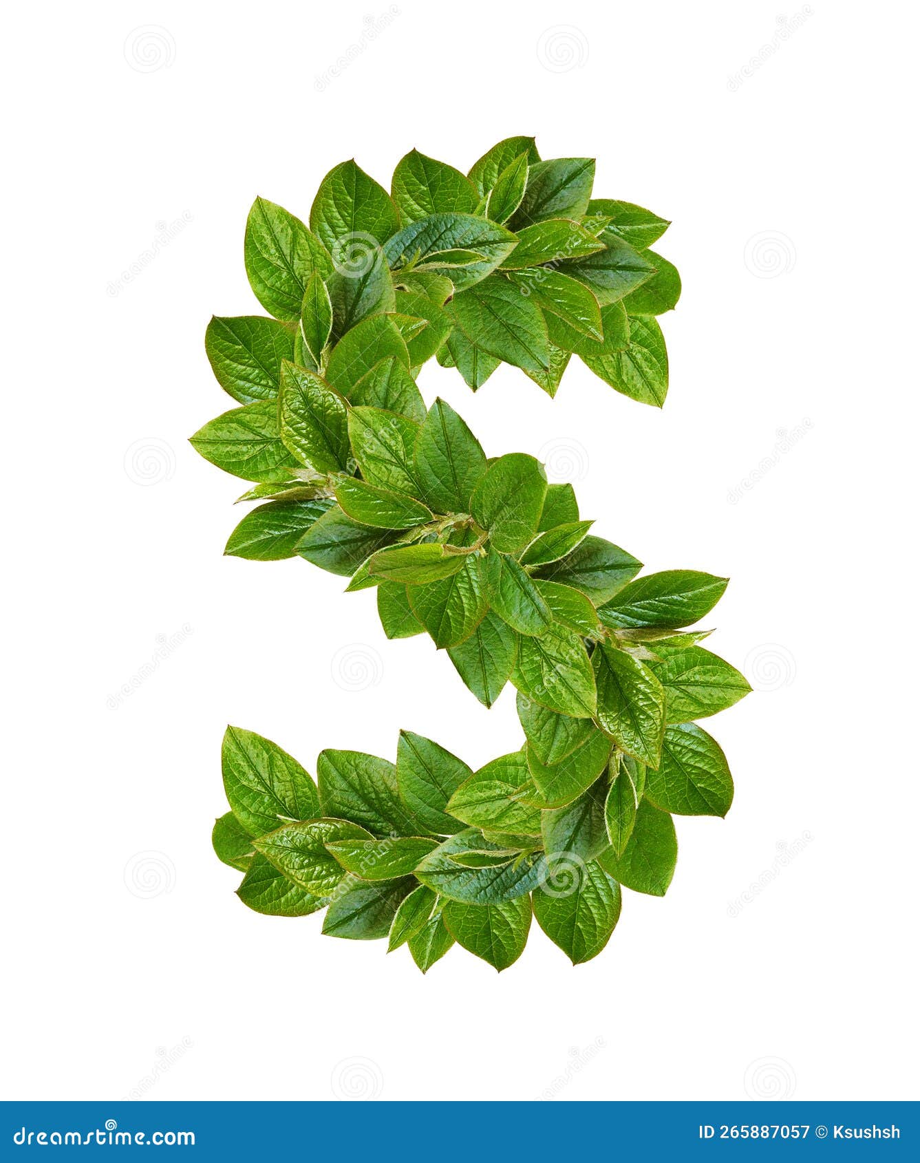 Green Leaves in a Shape of Letter S Isolated Stock Image - Image of ...