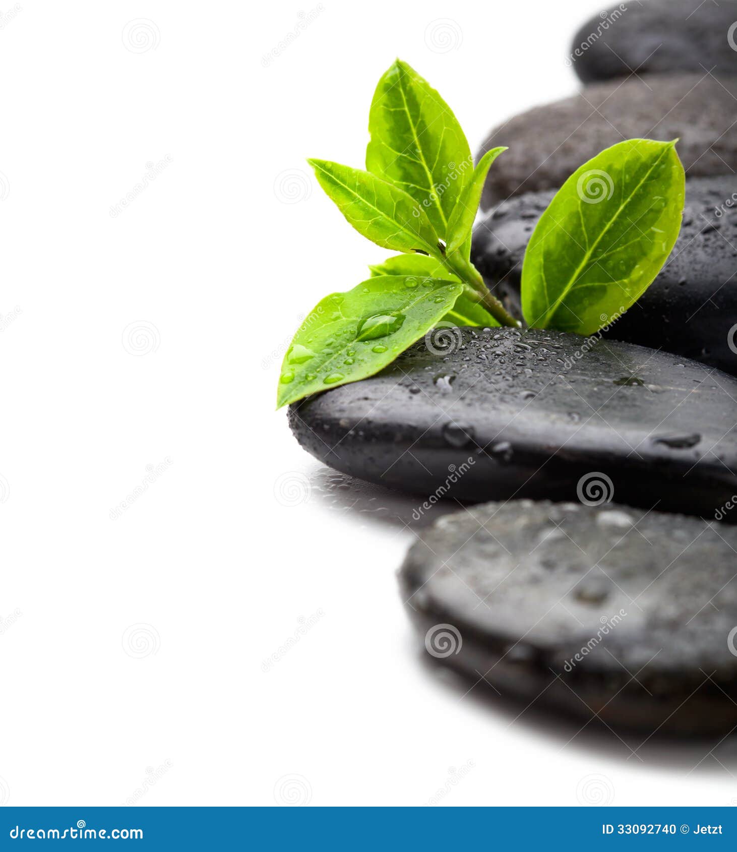 Green Leaves with Spa Stones, on White Stock Photo - Image of green ...