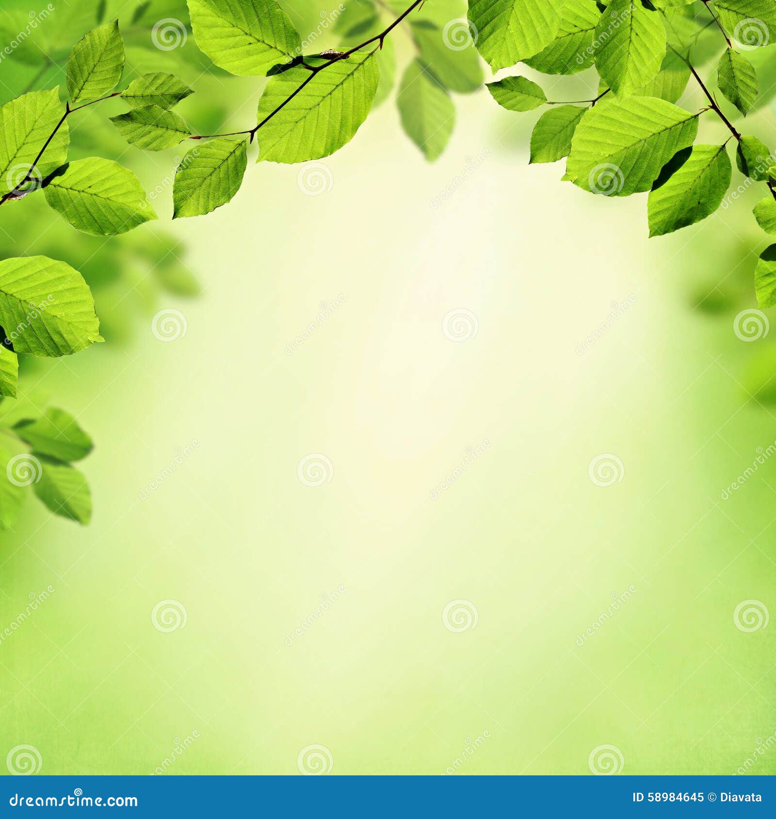 Green Leaves Spring and Summer Background Stock Image - Image of ...